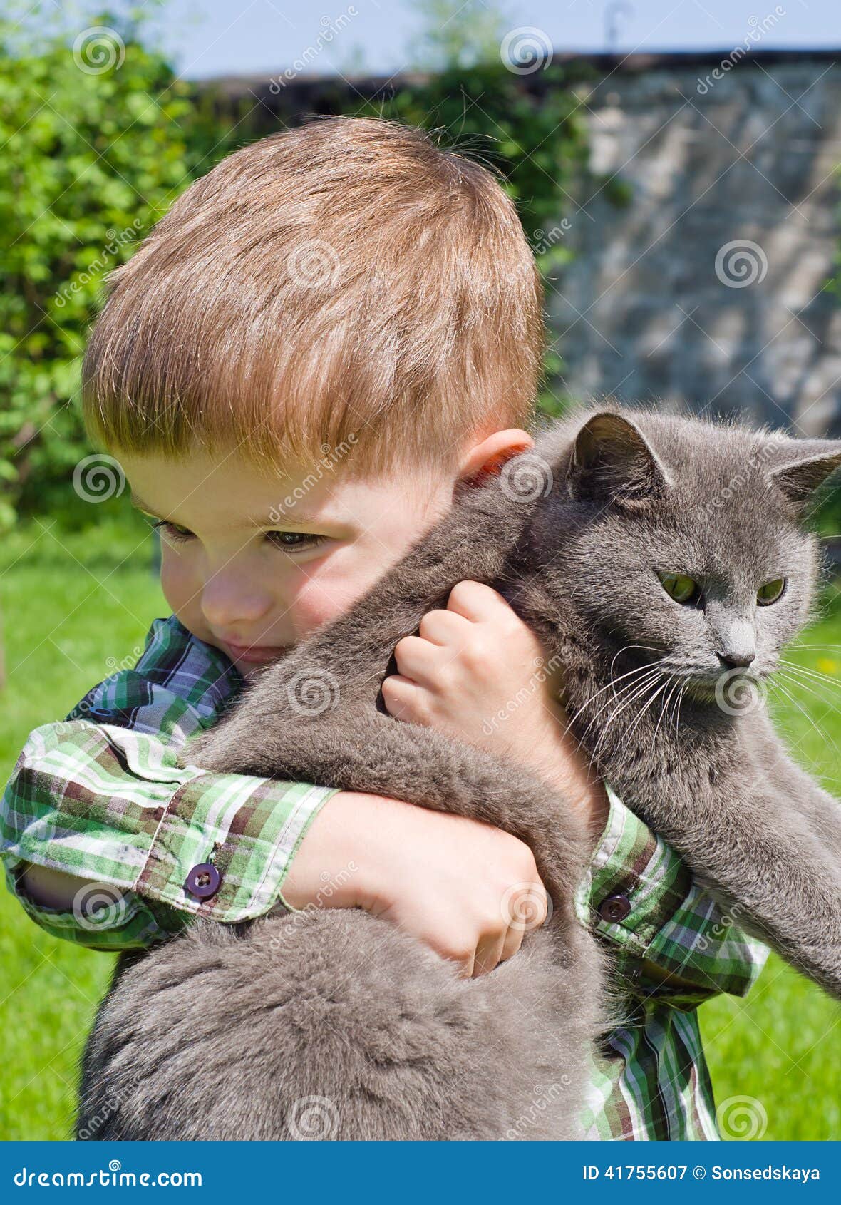 Cute boy hugs cat stock image. Image of human, family - 41755607