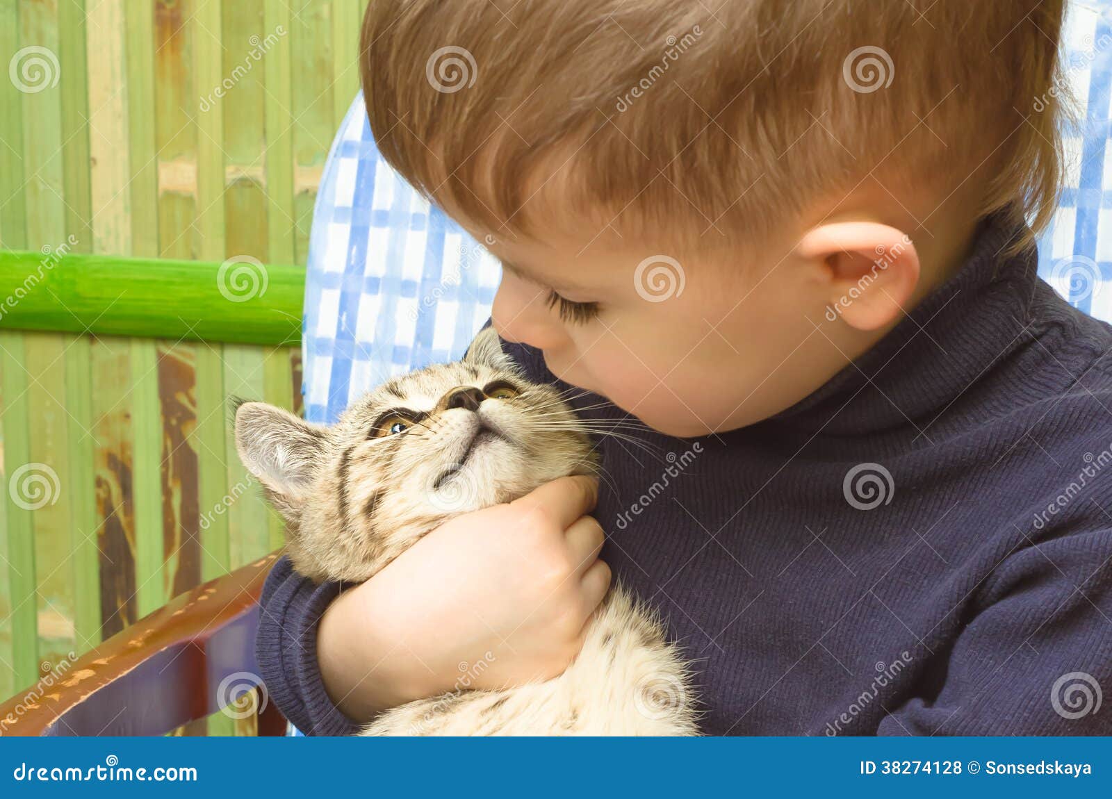 Cute boy and kitten stock photo. Image of baby, beautiful - 38274128