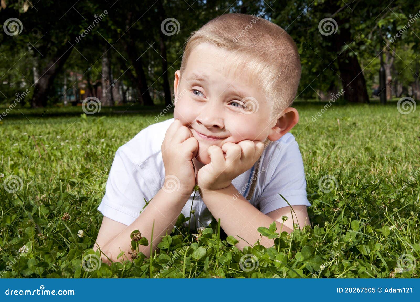 Cute Boy Laying in the Grass Stock Image - Image of happy, hair: 20267505