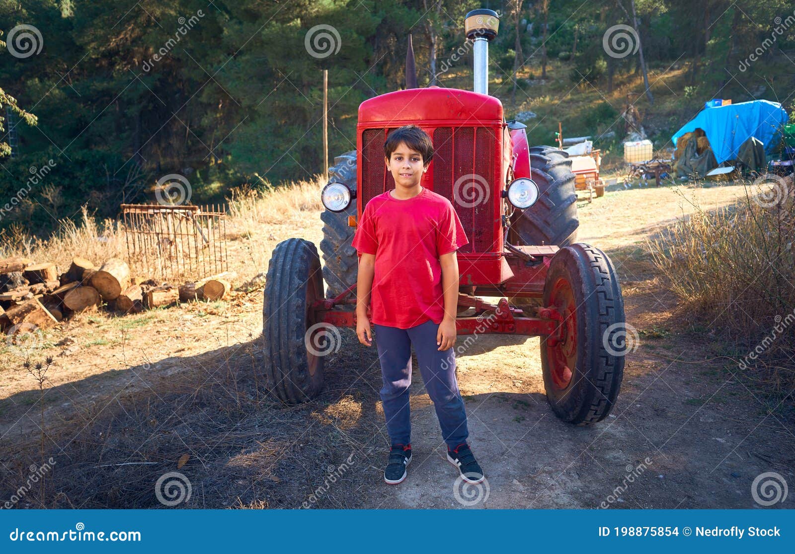 Cute Boy Near the Old Red Tractor in the Field Stock Photo - Image of ...