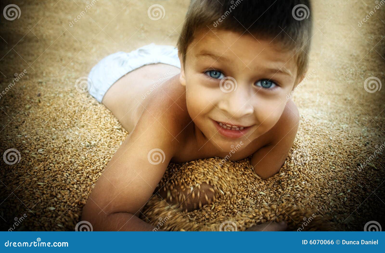 Cute Boy Playing at Farm in Wheat Grain Seeds Stock Photo - Image of ...
