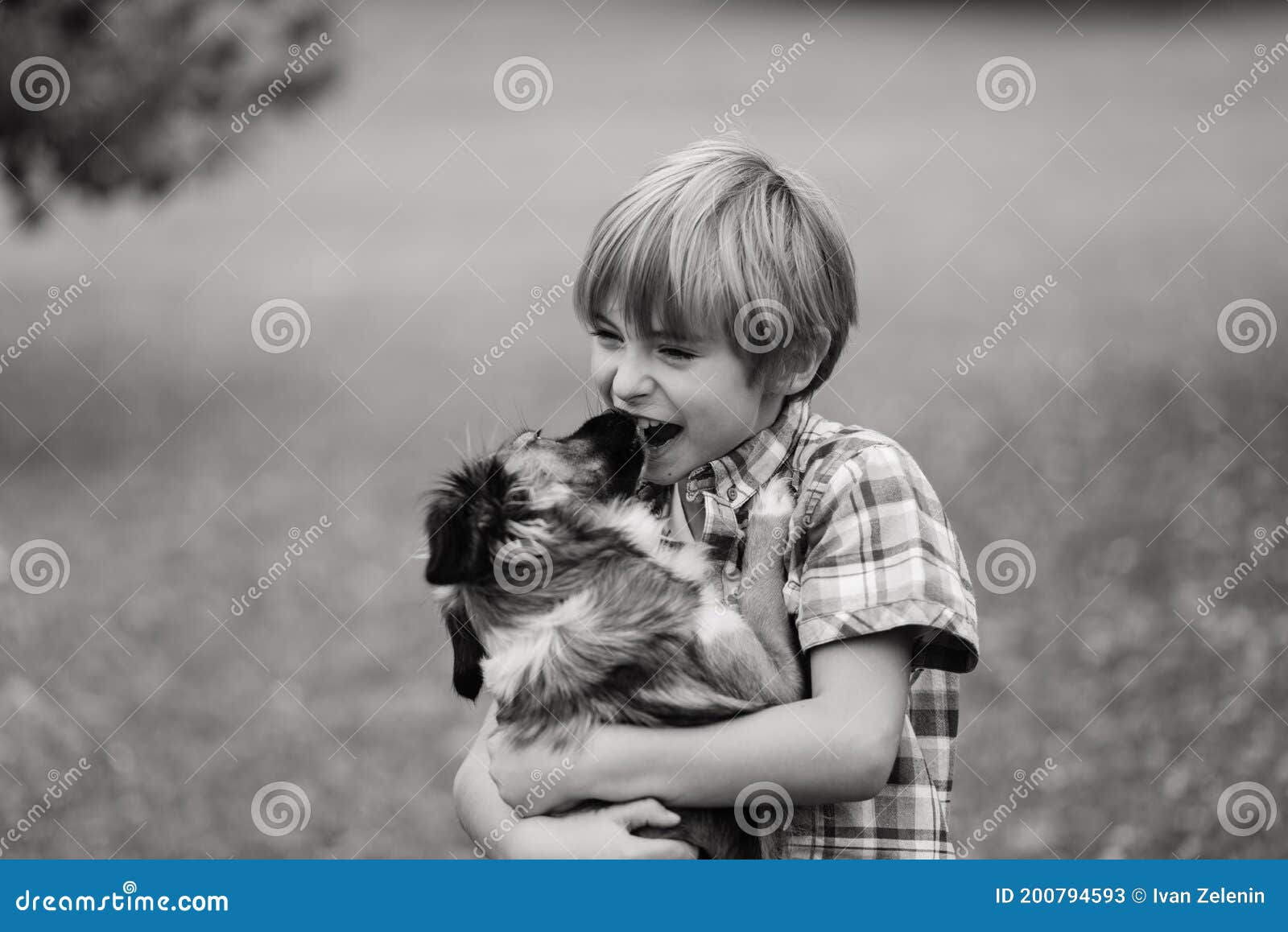 Cute Boy Playing and Walking with His Dog in a Meadow Stock Image ...