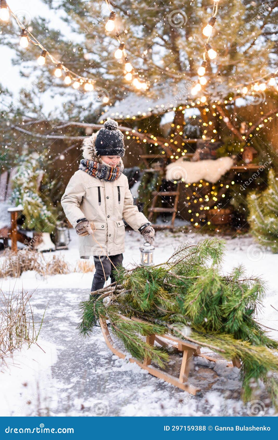A Cute Boy Pulls a Sled with a Pine Tree Outside Stock Photo - Image of ...