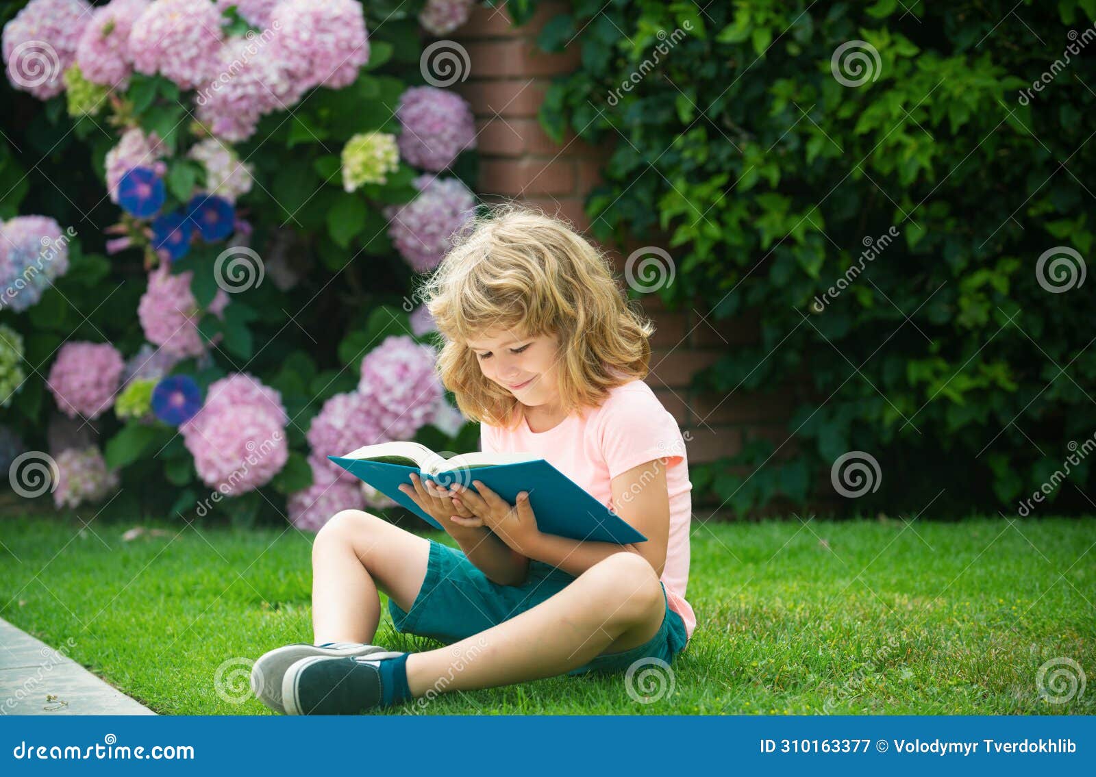 Cute Boy Reading Book on Green Grass. Stock Image - Image of ...