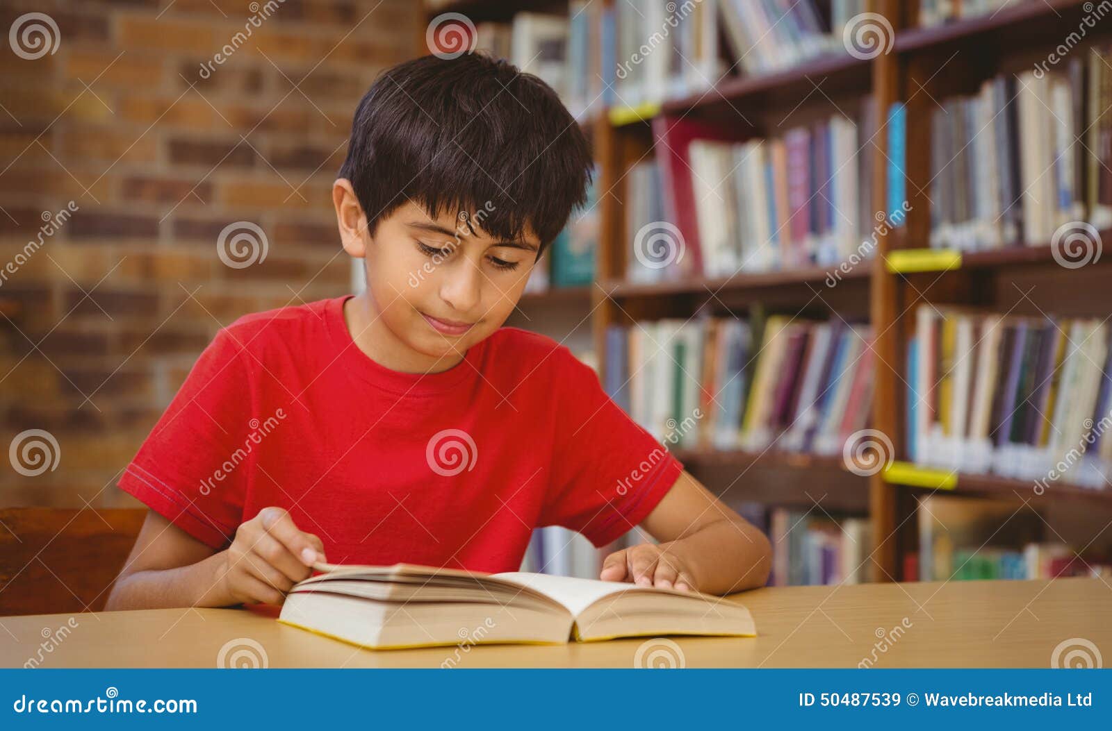 Cute Boy Reading Book in Library Stock Image - Image of knowledge ...