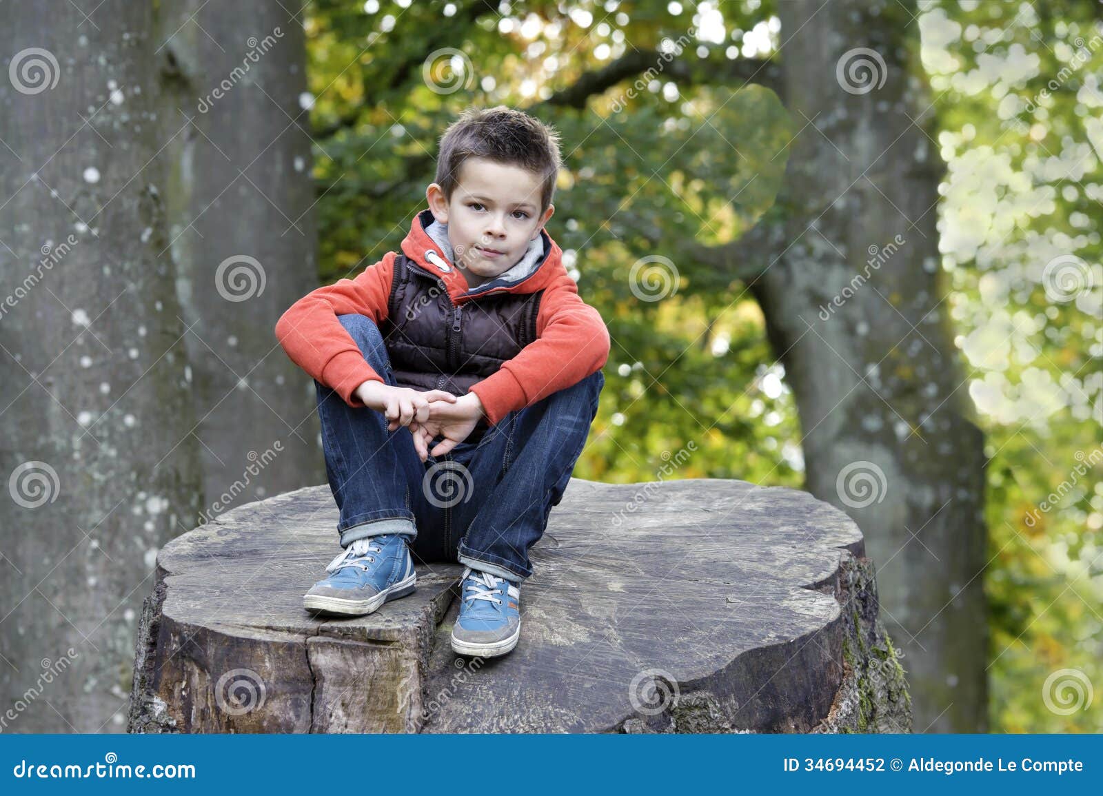 Cute Boy Seated on a Trunk in the Park Stock Photo - Image of fall ...
