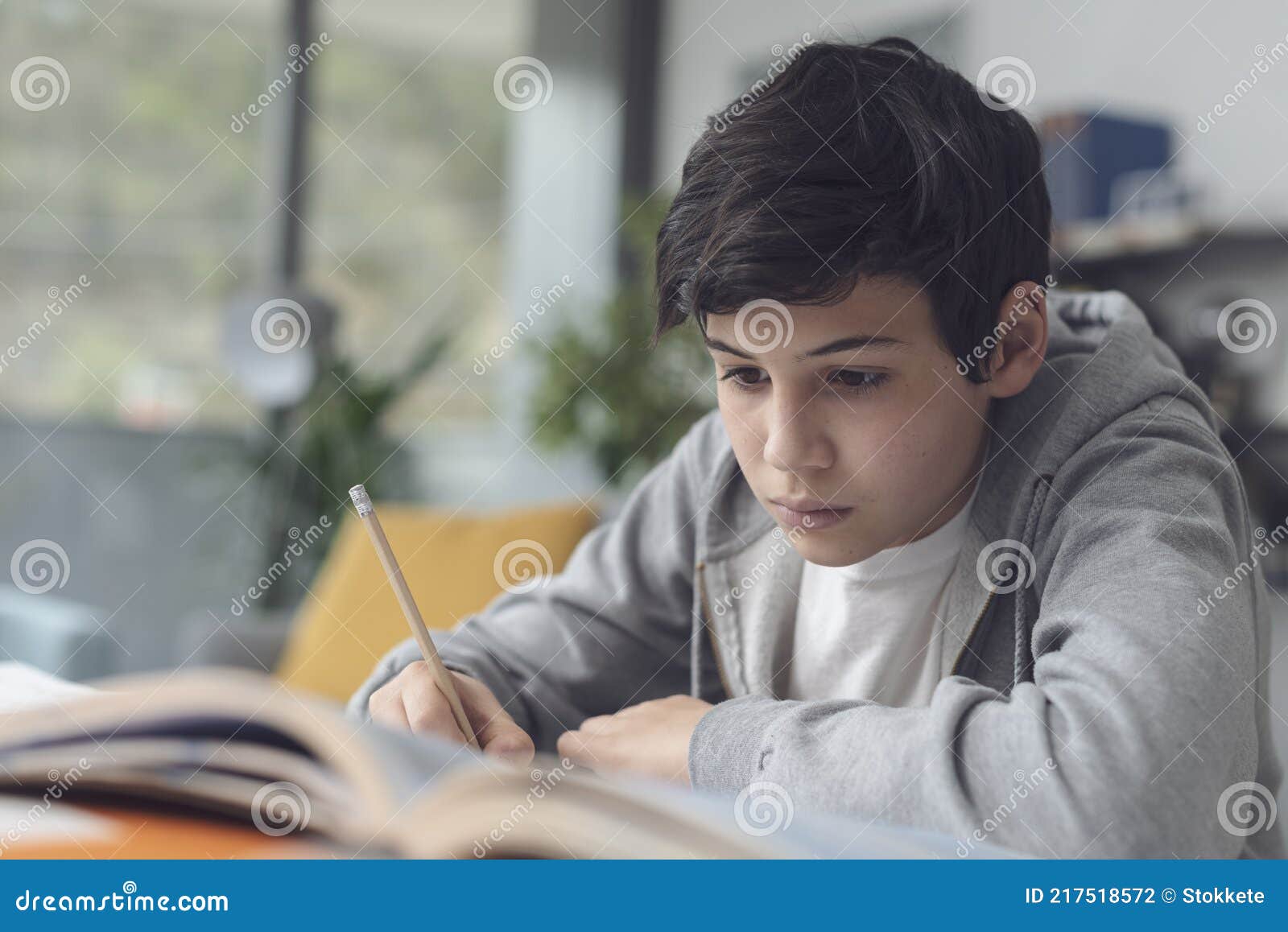 Cute boy studying at home stock photo. Image of skills - 217518572