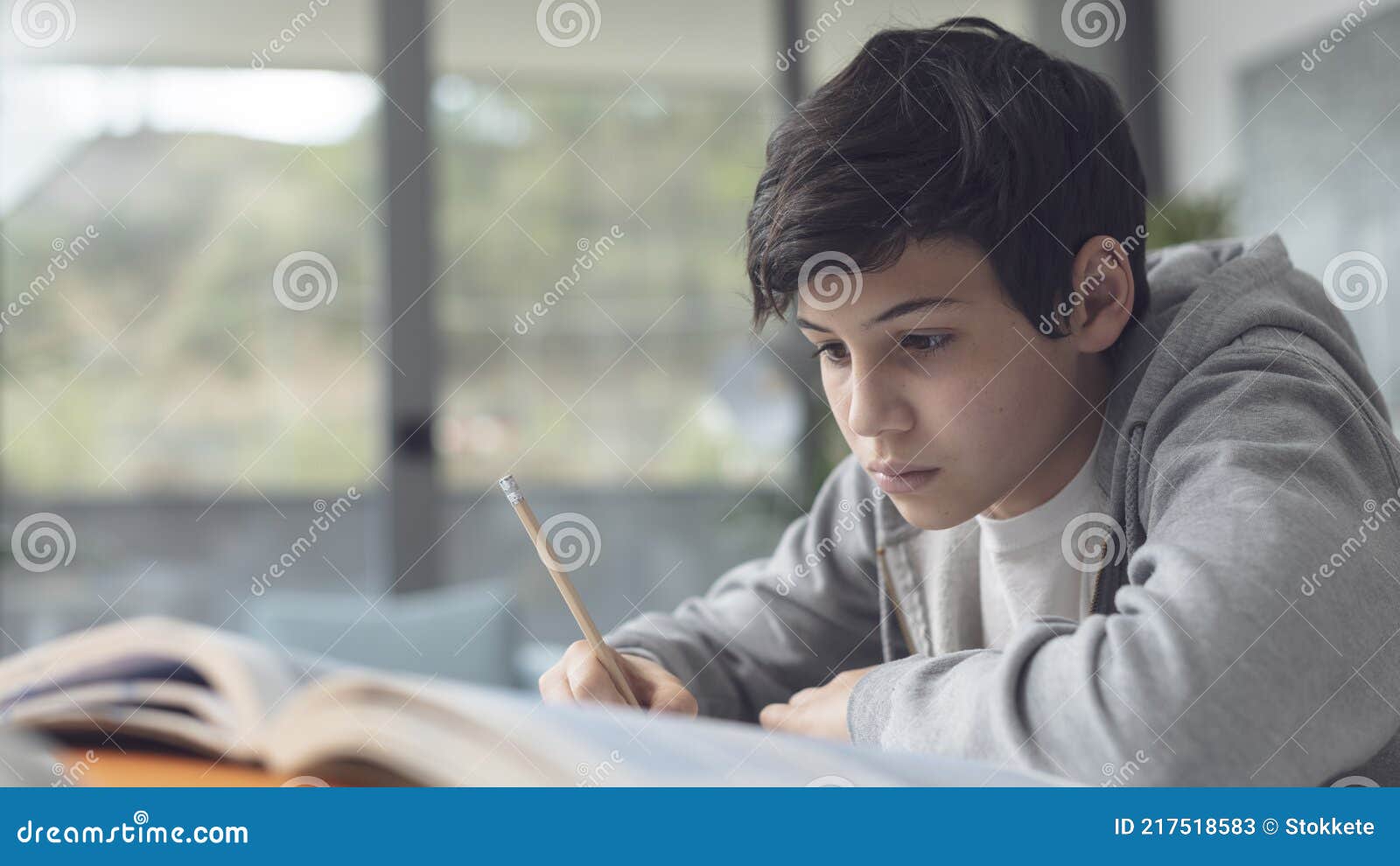Cute boy studying at home stock image. Image of desktop - 217518583
