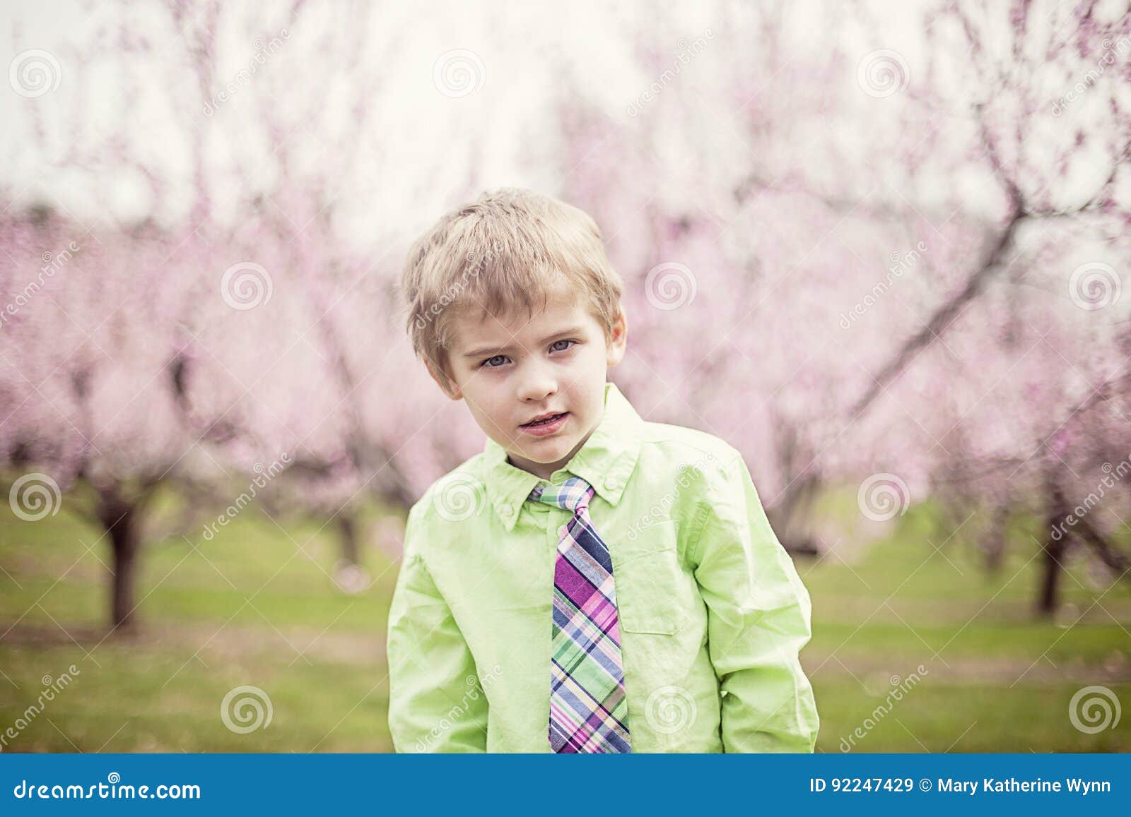Cute boy in Spring stock image. Image of blooming, colorful - 92247429