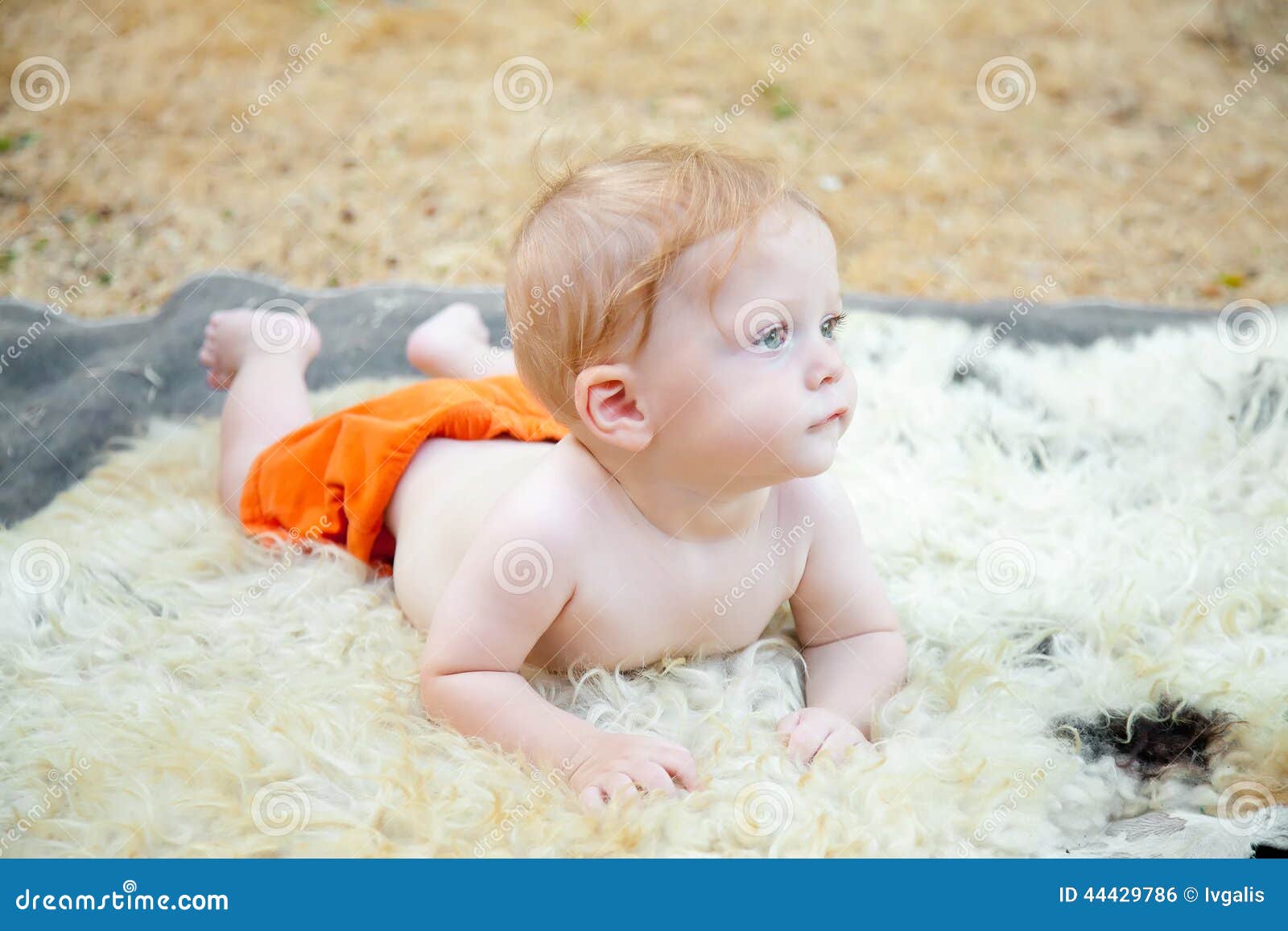 Cute boy staring stock photo. Image of outdoors, expression - 44429786