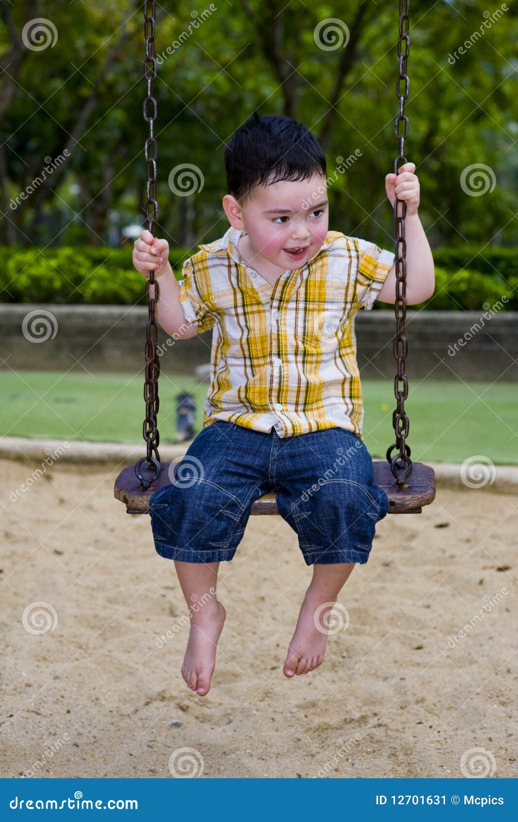 Cute boy on a swing stock image. Image of swing, nature - 12701631