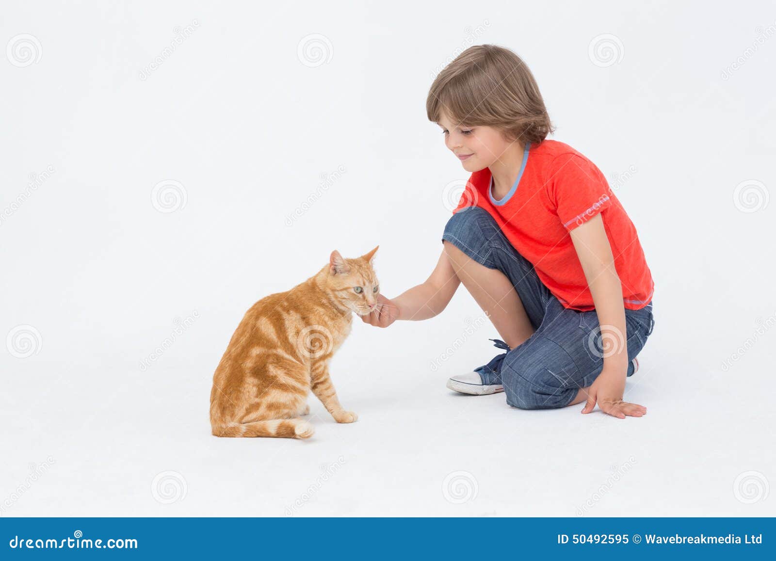 Cute Boy Touching Cat on White Background Stock Image - Image of child ...