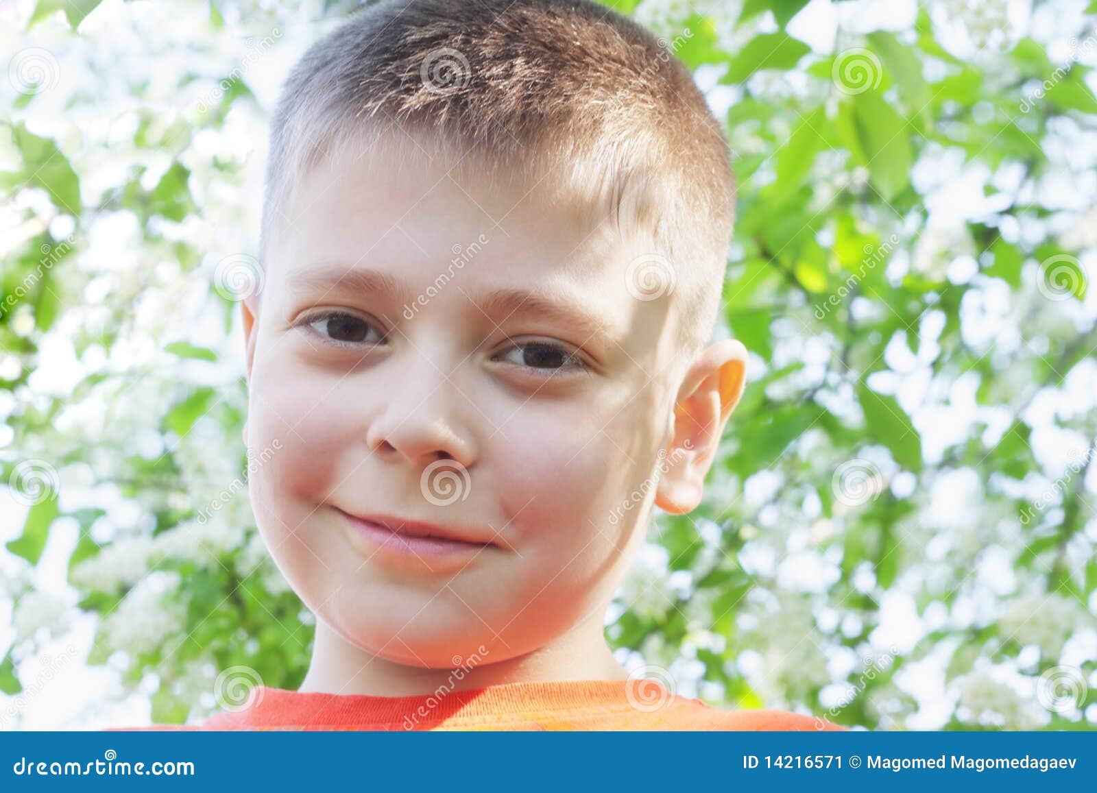 Cute boy under tree stock image. Image of person, casual - 14216571