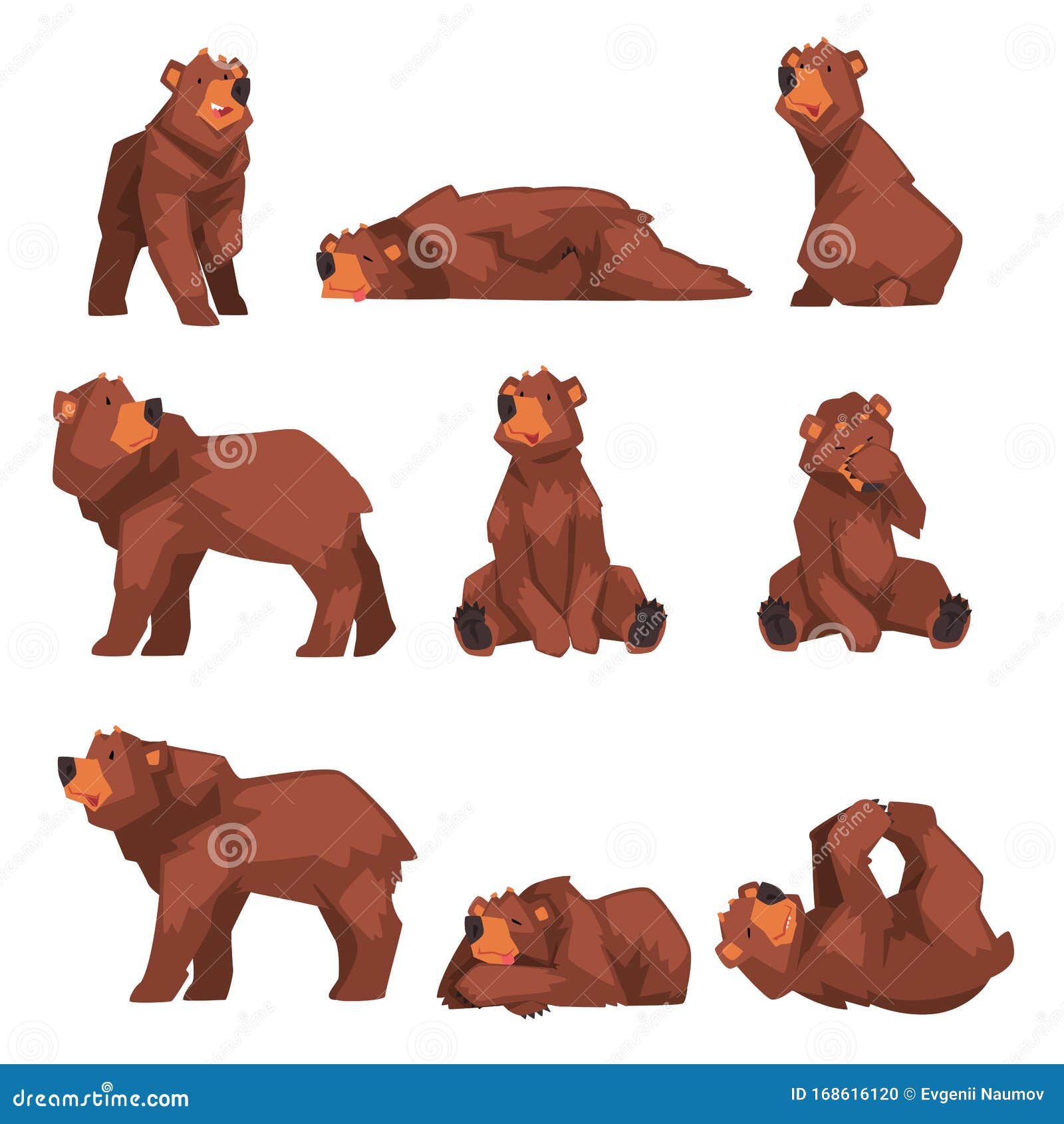 Brown Bear Illustration