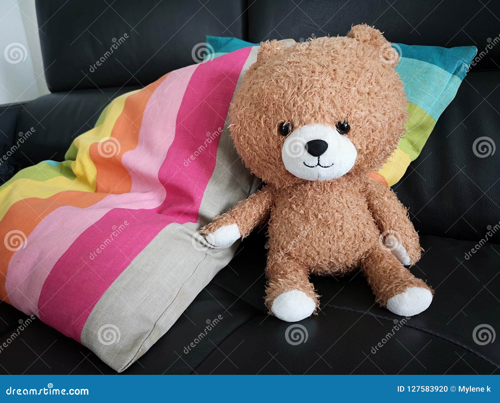 Cute bear stock photo. Image of brown, bear, likeaboss - 127583920
