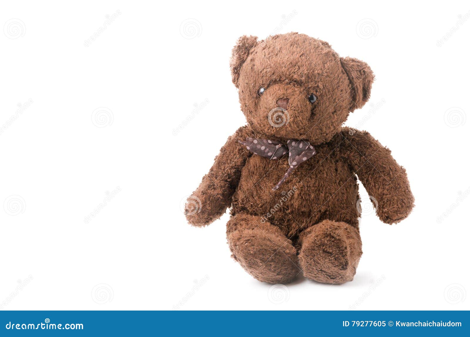 Cute Brown Teddy Bear Isolated Stock Image - Image of tiny, background ...