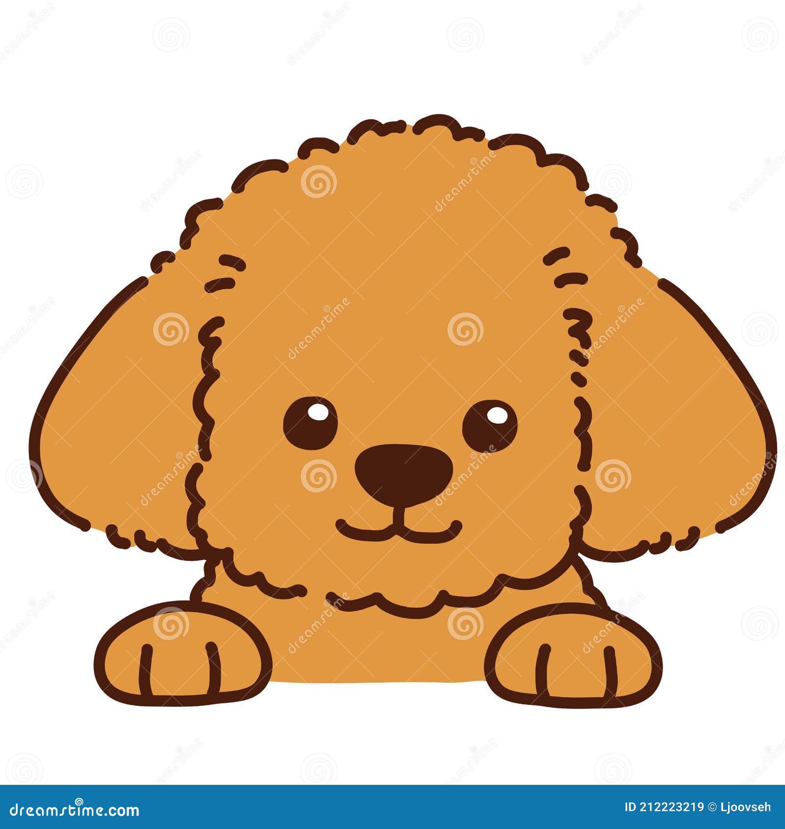 Cute Brown Toy Poodle Front Face Stock Vector - Illustration of poodle ...