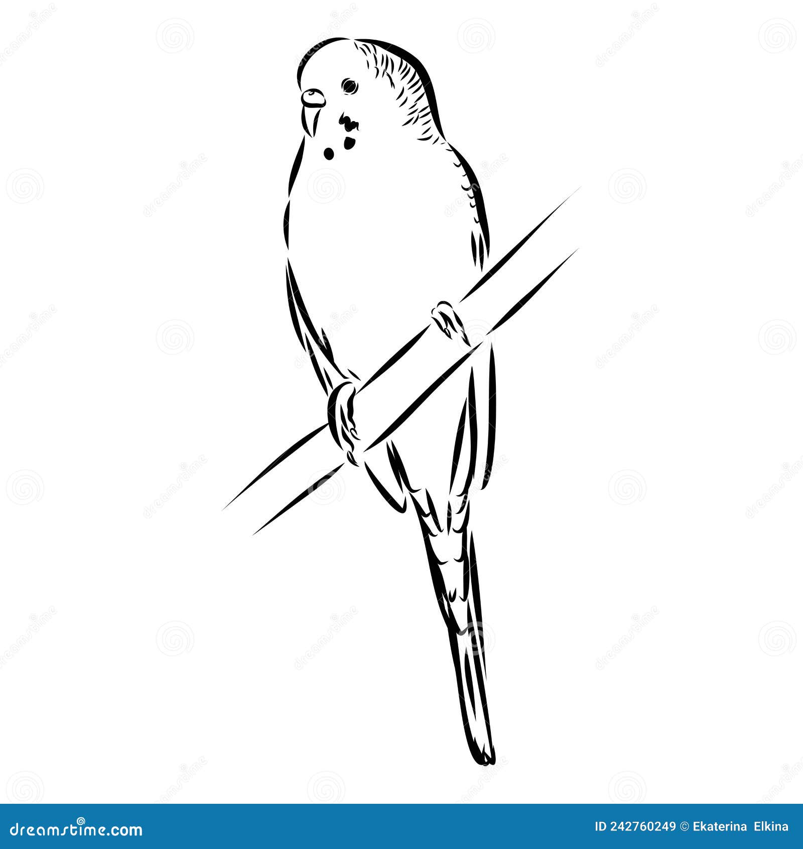 A Cute Budgie Sits on a Perch. Vector Sketch Illustration for Design ...