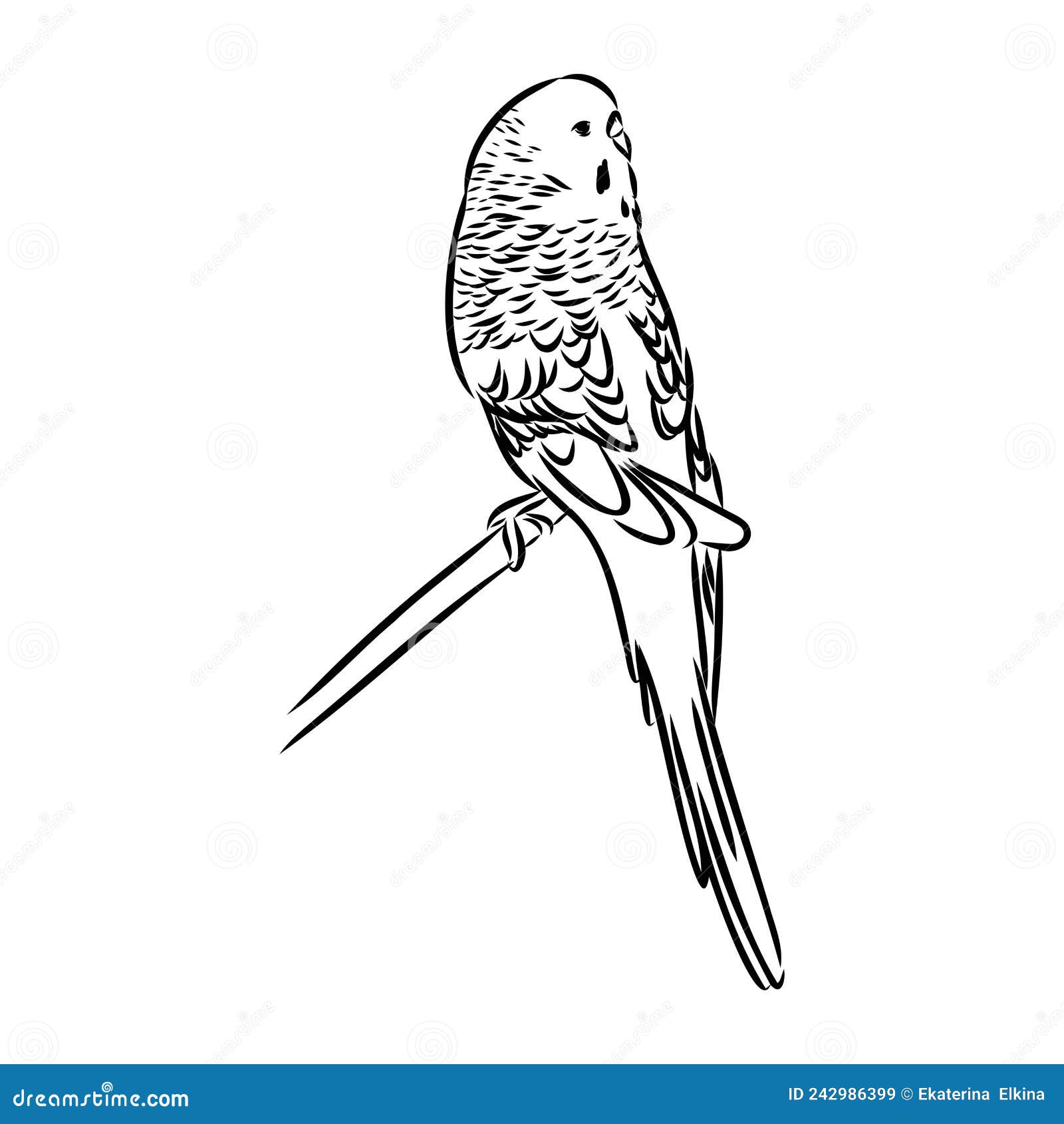 A Cute Budgie Sits on a Perch. Vector Sketch Illustration for Design ...