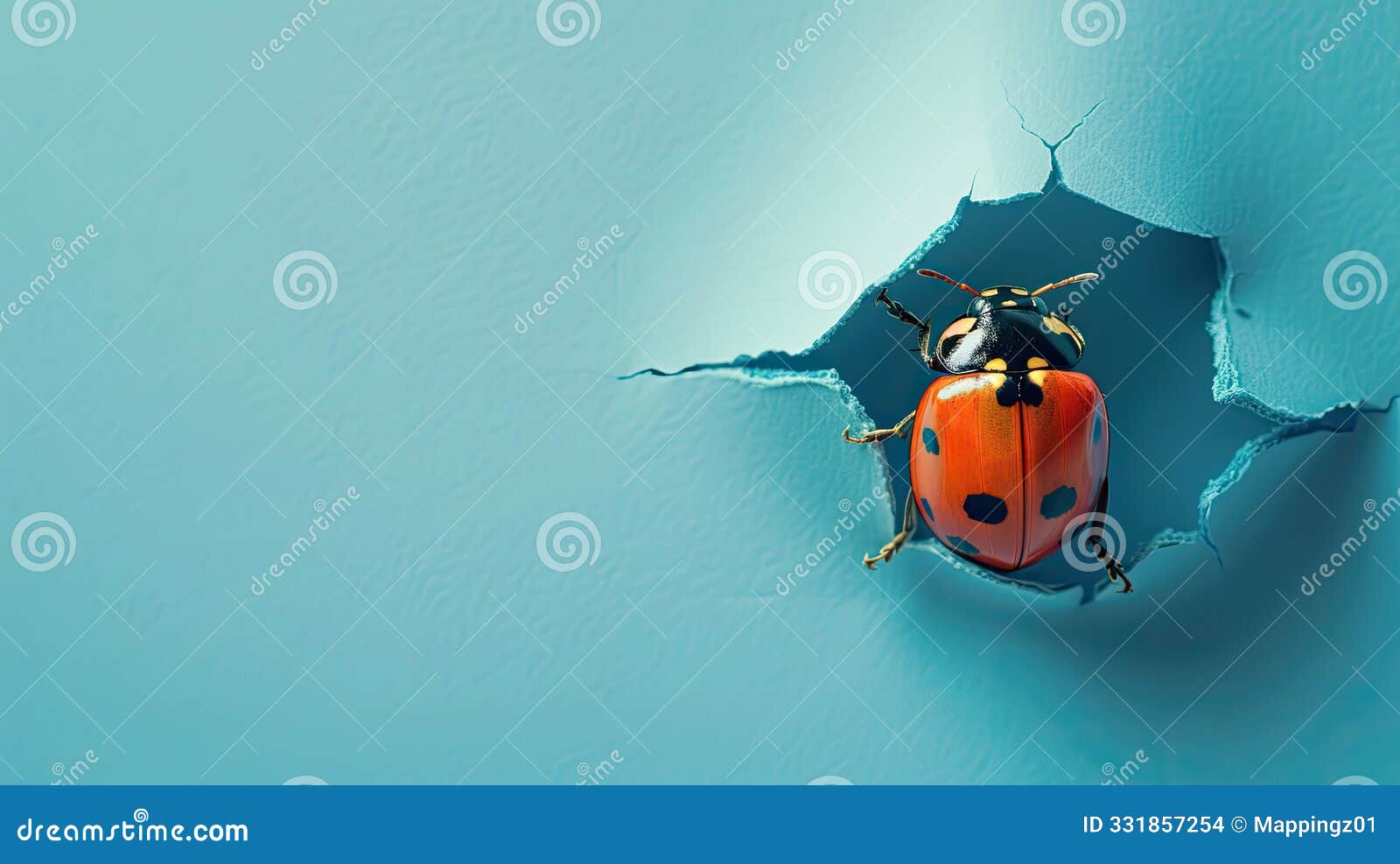 Cute Bug Peeking through a Hole Stock Illustration - Illustration of ...