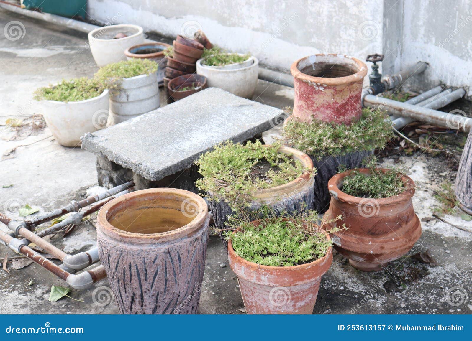 A Cute Bunch of Pots stock image. Image of tree, vegetable - 253613157