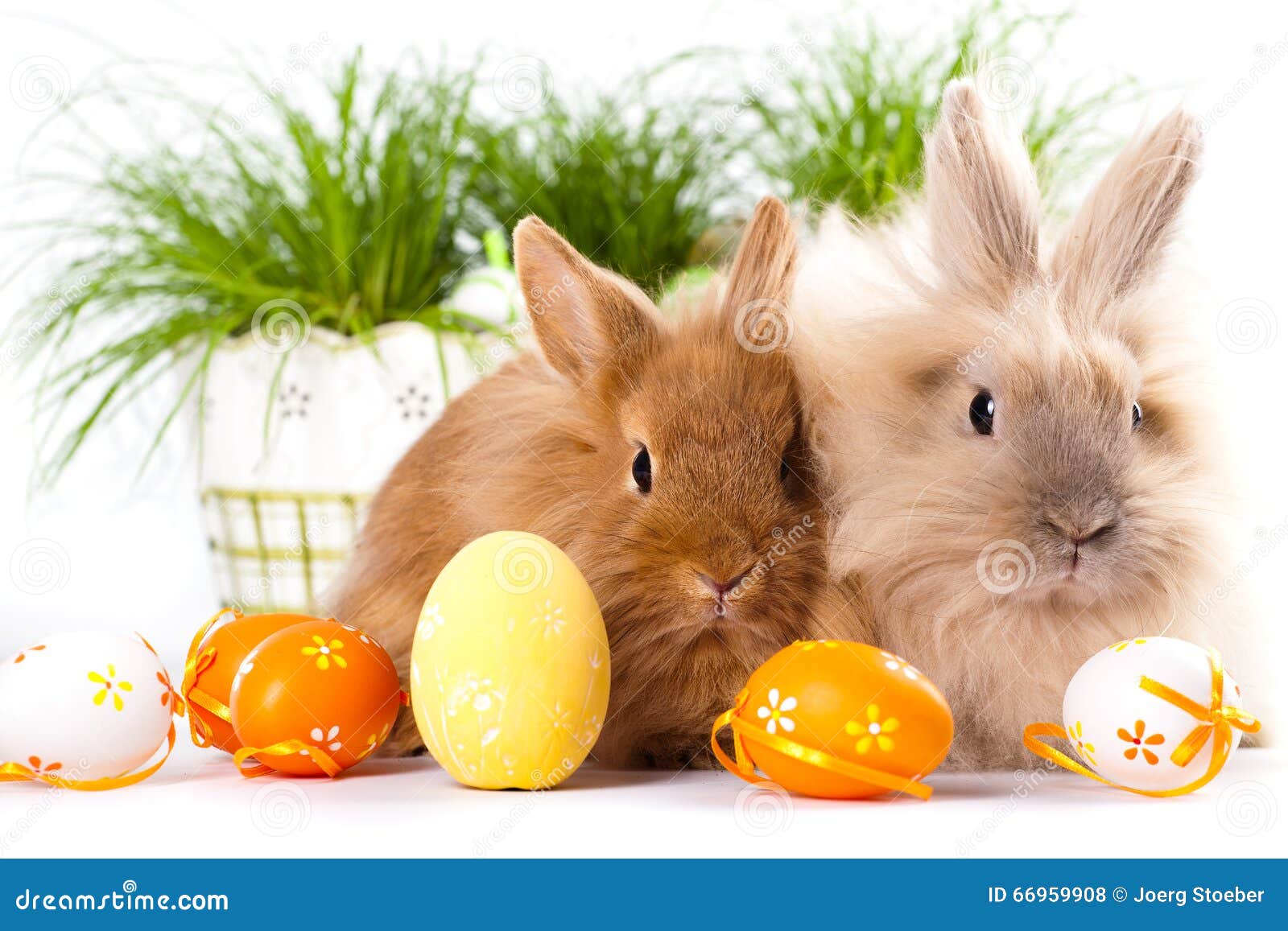 Cute Bunnies with Easter Eggs Stock Photo - Image of eggs, childhood ...