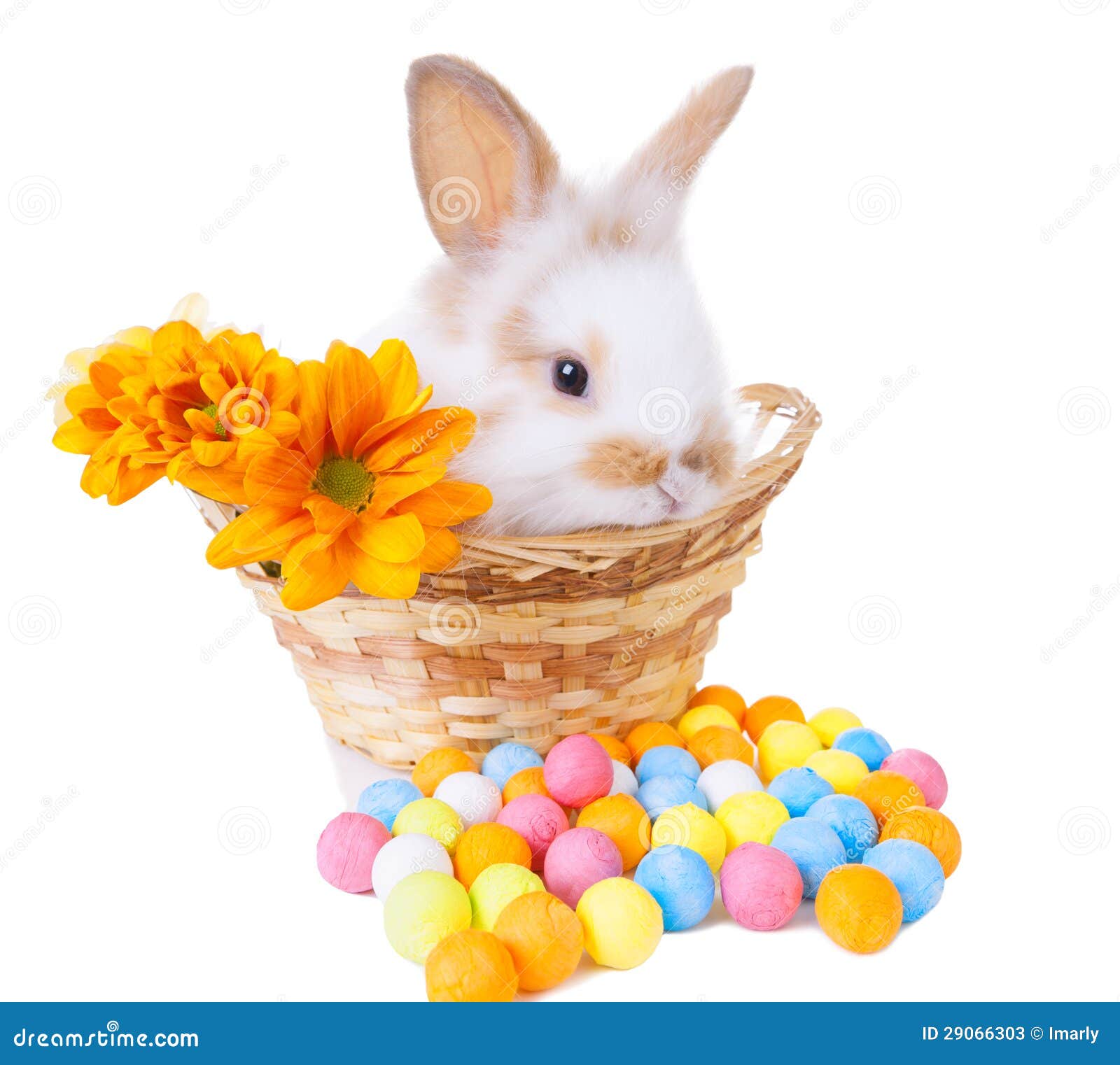 Cute Bunny in a Basket with Flowers and Colorful D Stock Image - Image ...