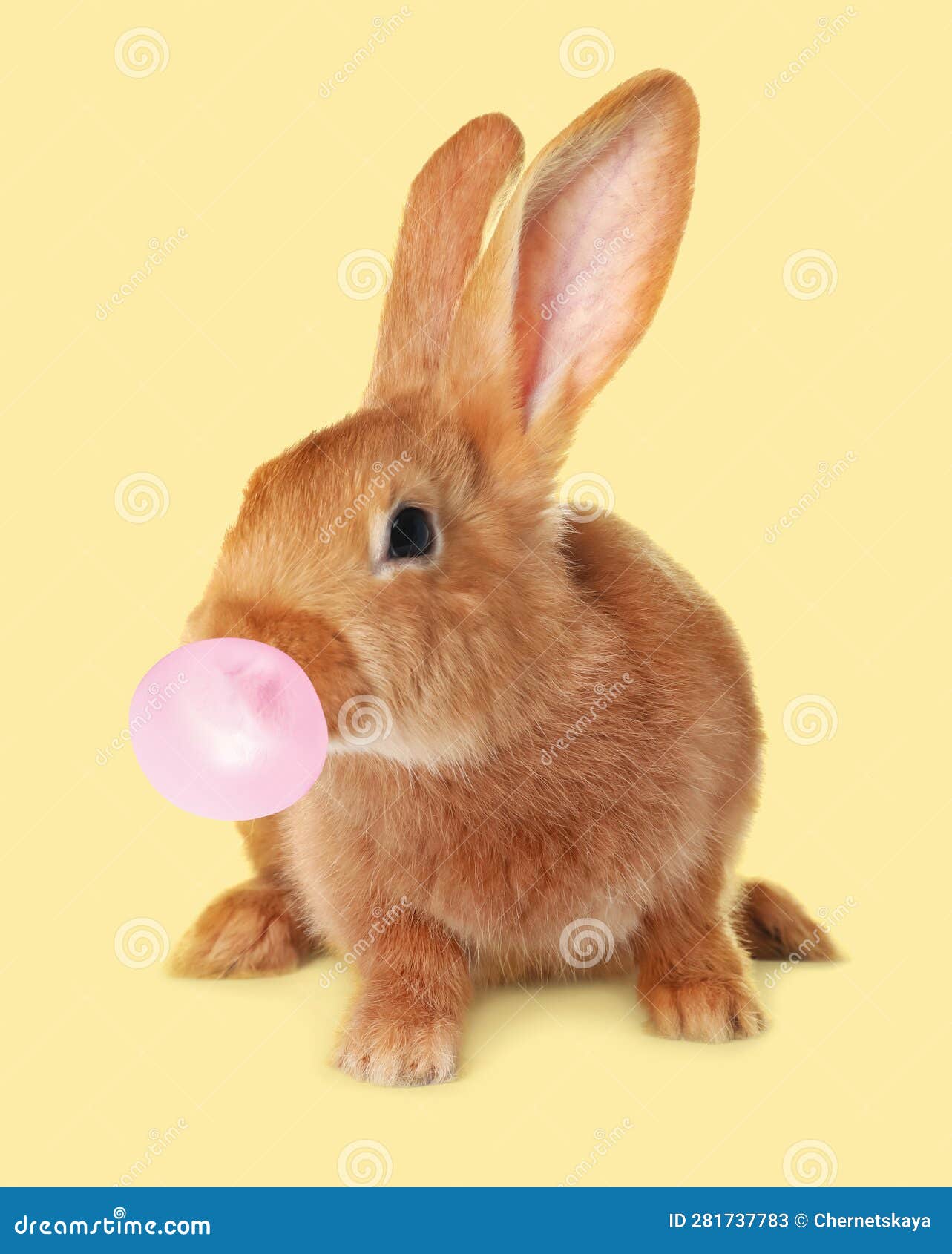 Cute Bunny with Bubble of Chewing Gum on Pale Yellow Background Stock ...