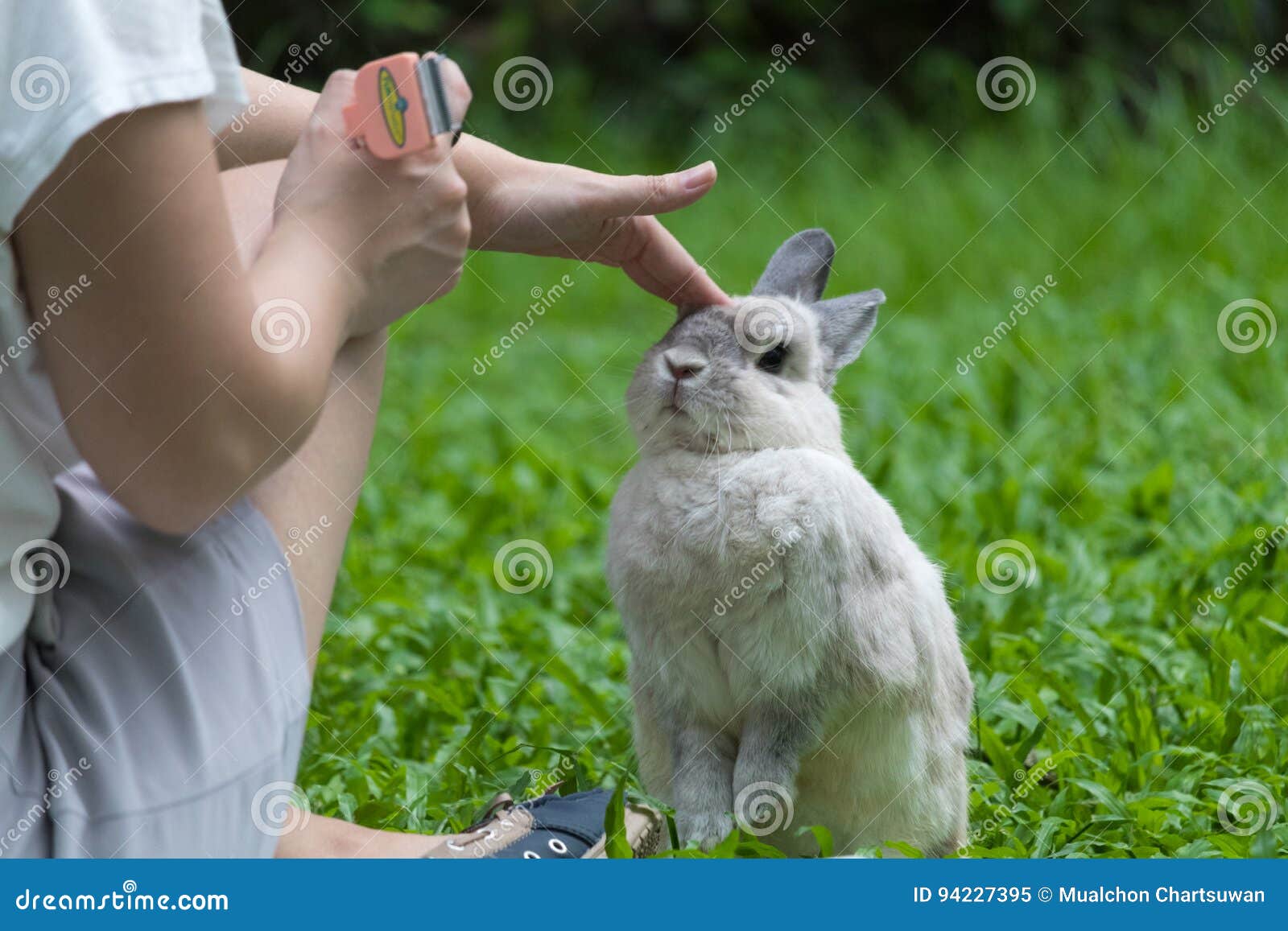 Cute Bunny Relaxing on Grass Stock Image - Image of funny, relaxing ...