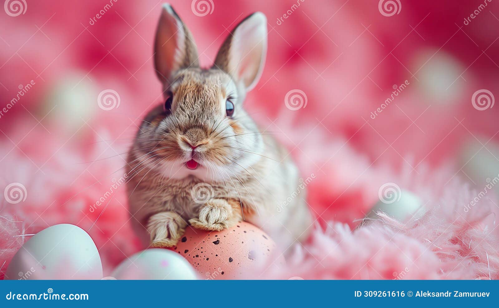 Cute Bunny and Single Easter Egg on Pink Background. Concept of Happy ...