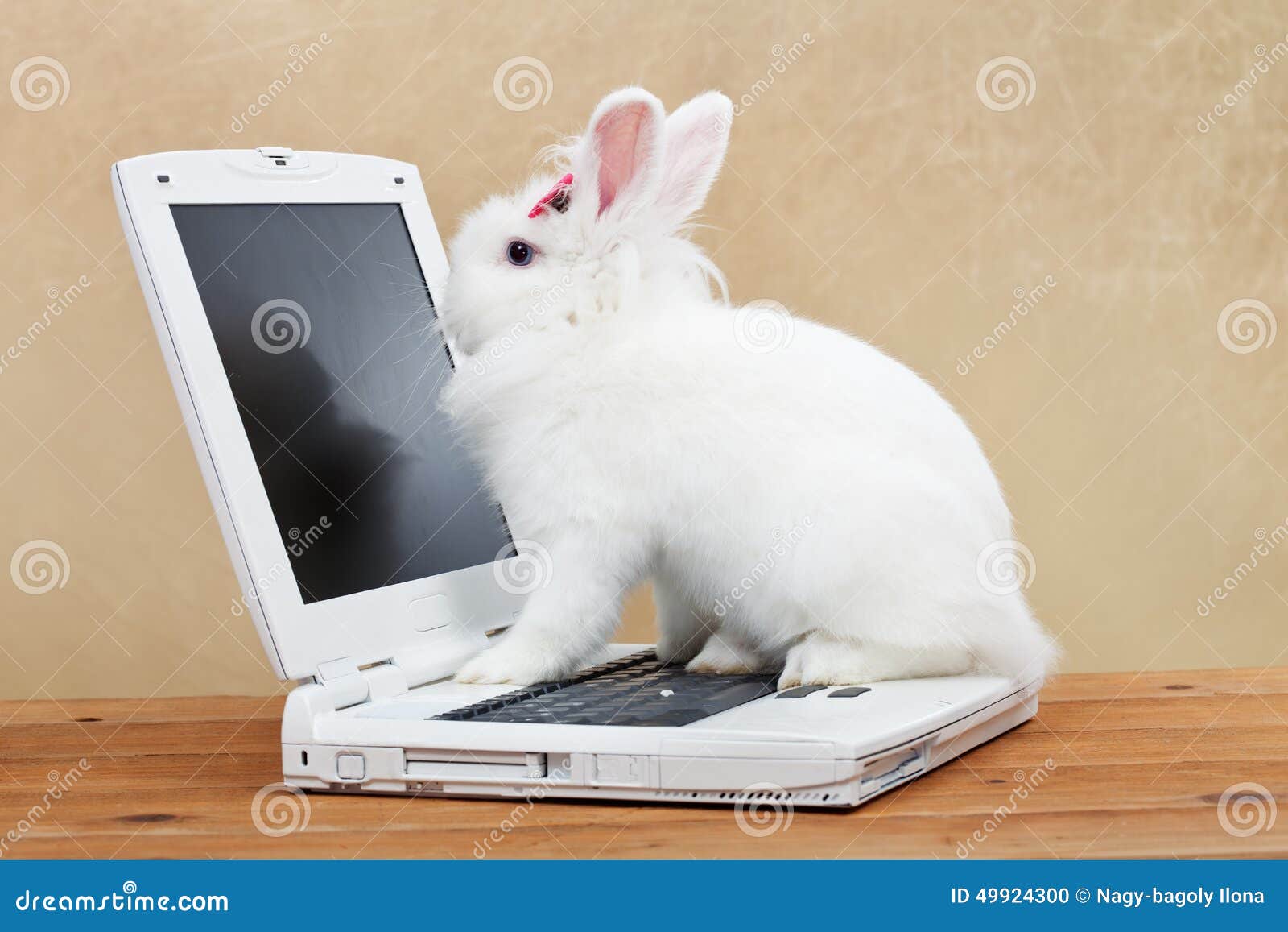 Cute Bunny. Seamless Pattern With Rabbit. Funny Cartoon Characters With ...