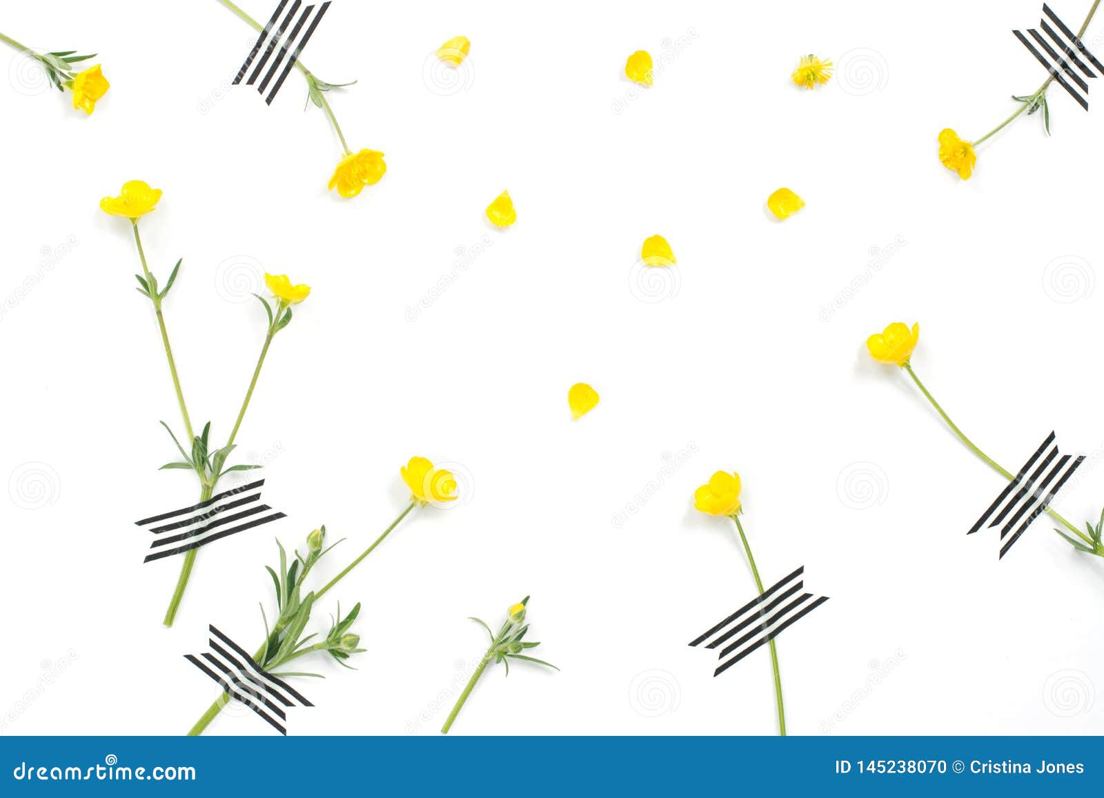Cute Buttercups and Buttercup Petals on a White Background Stock Photo ...