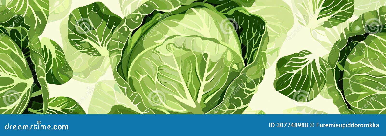 Cute Cabbage Background Head of Green Cabbage Stock Illustration ...