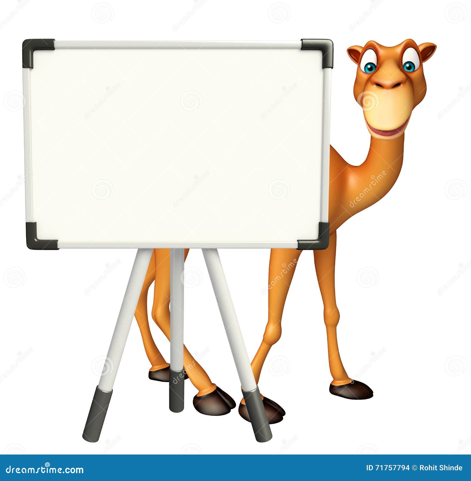 Cute Camel Cartoon Character with White Board Stock Illustration ...