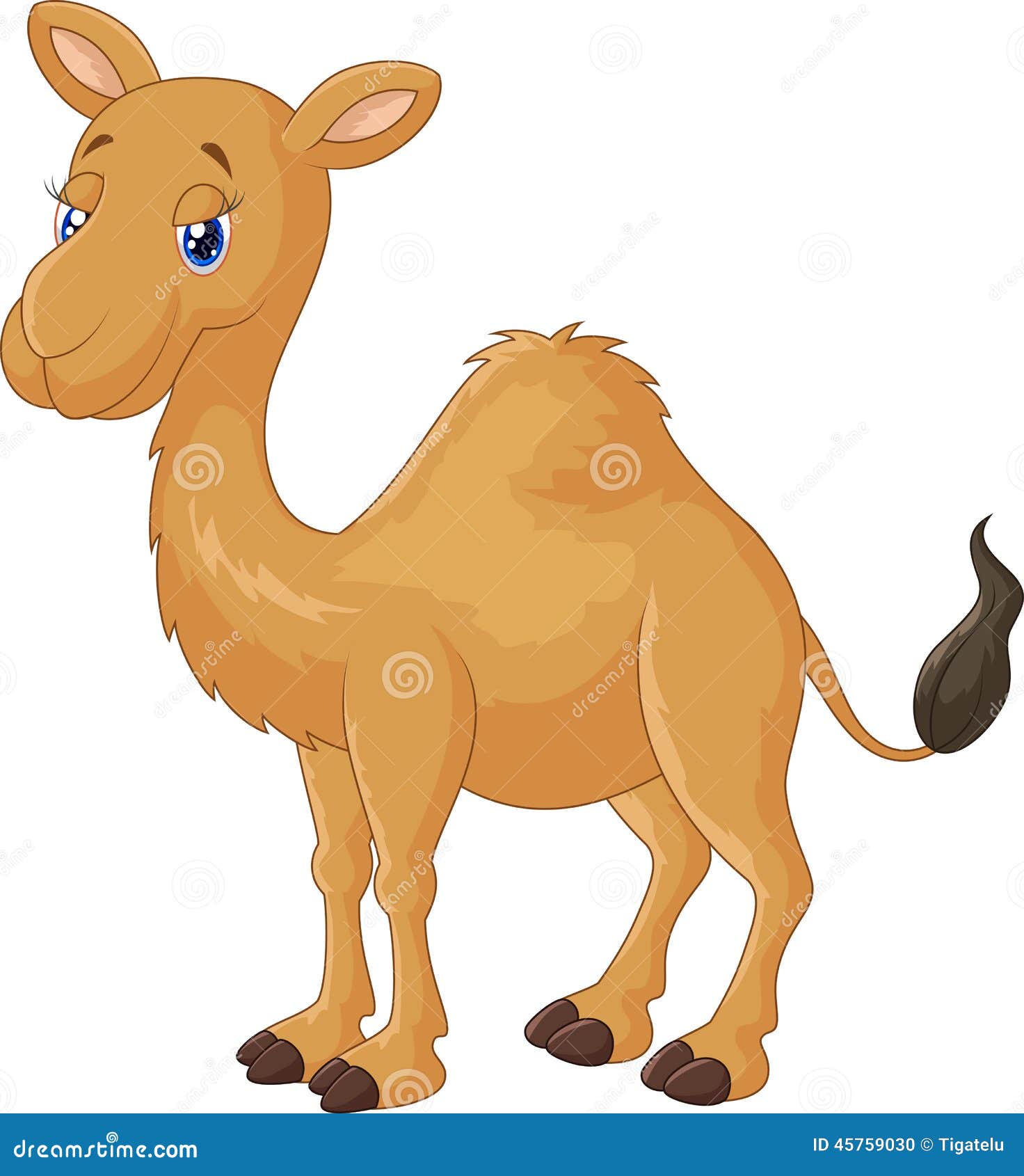 Camel Cartoon Character Stands And Eats Thorns Illustration ...