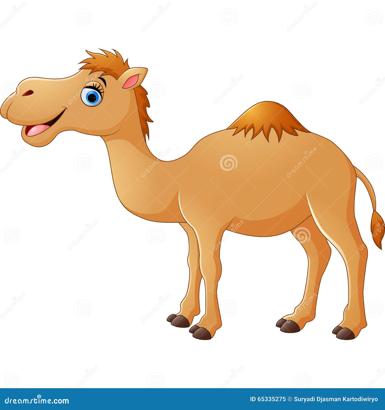 Cartoon Camel Face