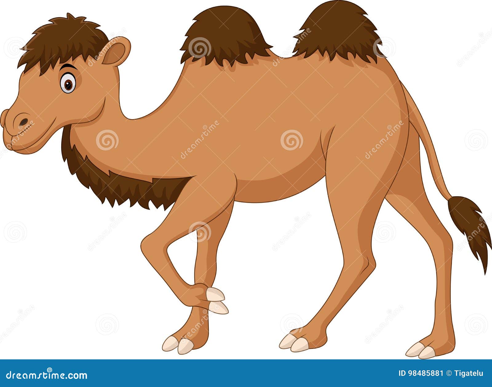 Cute Camel Cartoon Isolated on White Background Stock Vector ...