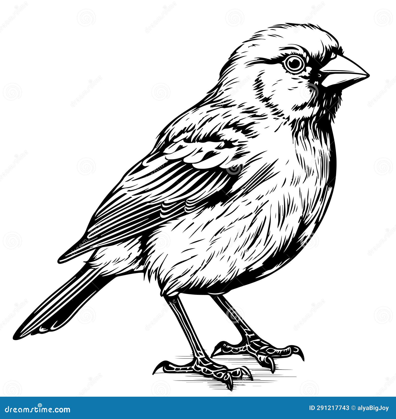Cute Canary Bird Hand Drawn Sketch .Vector Illustration Stock Vector ...