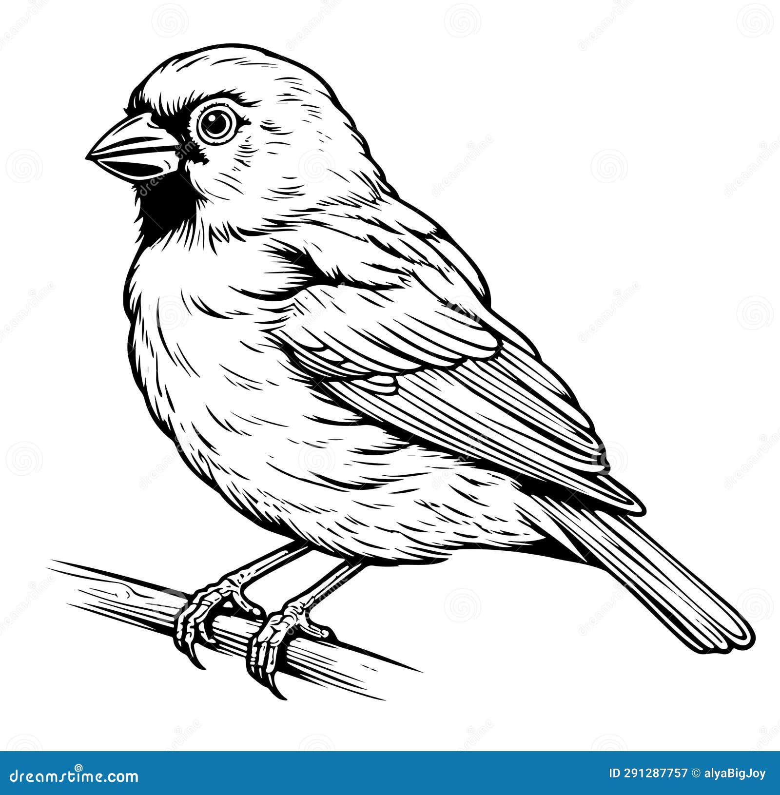 Cute Canary Hand Drawn Sketch .Vector Illustration Stock Vector ...