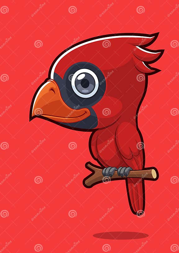 Cute Cardinal Bird stock illustration. Illustration of wildlife - 268510513