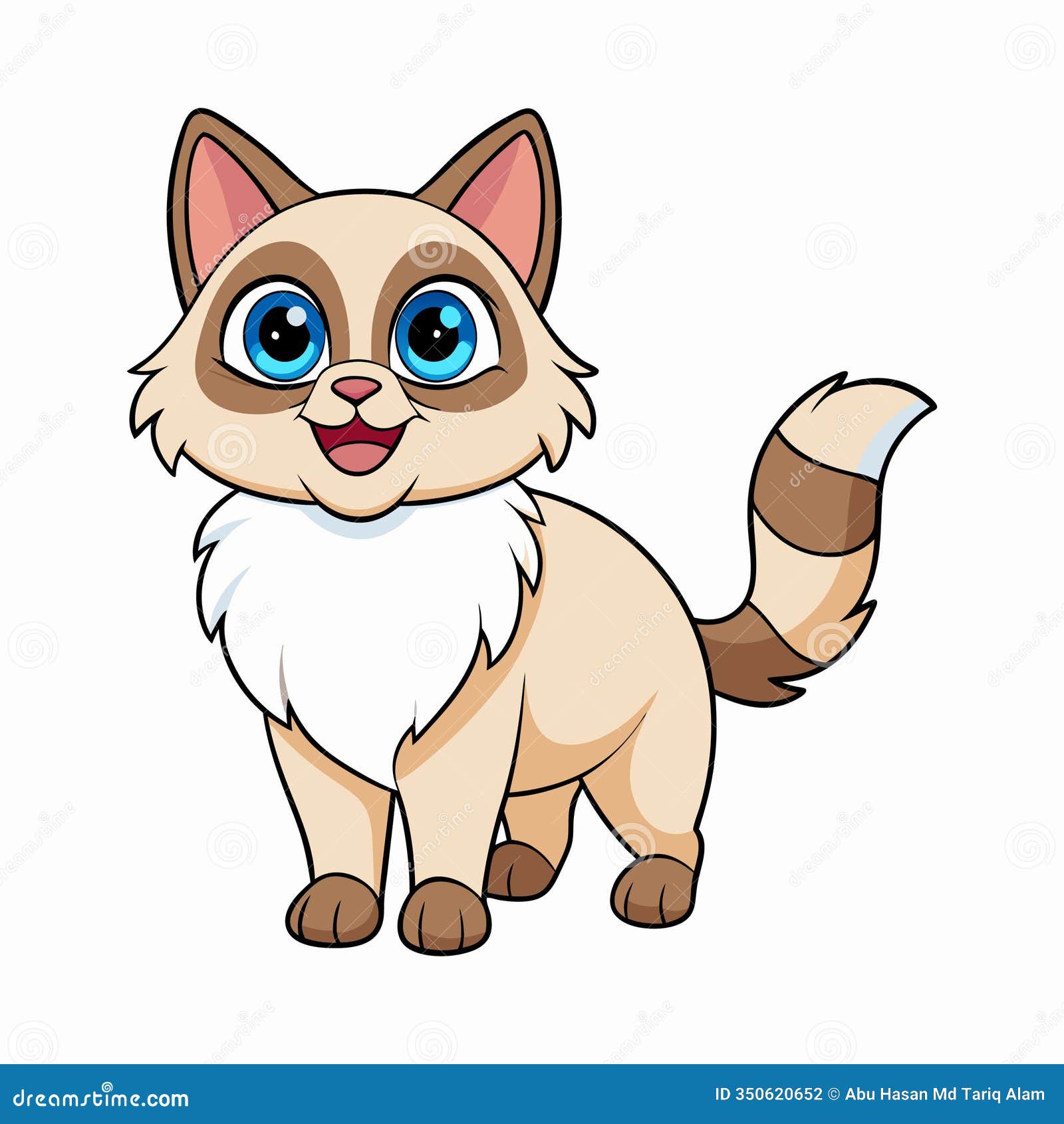 Birman Cat Face Portrait. Ink Black And White Doodle Drawing Vector ...