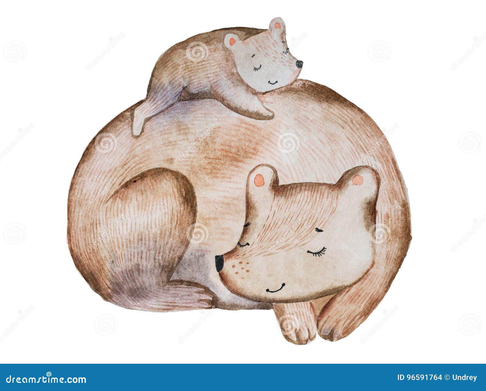 Cute Cartoon Brown Bear And Little Cub Laying On Its Back Sleeping
