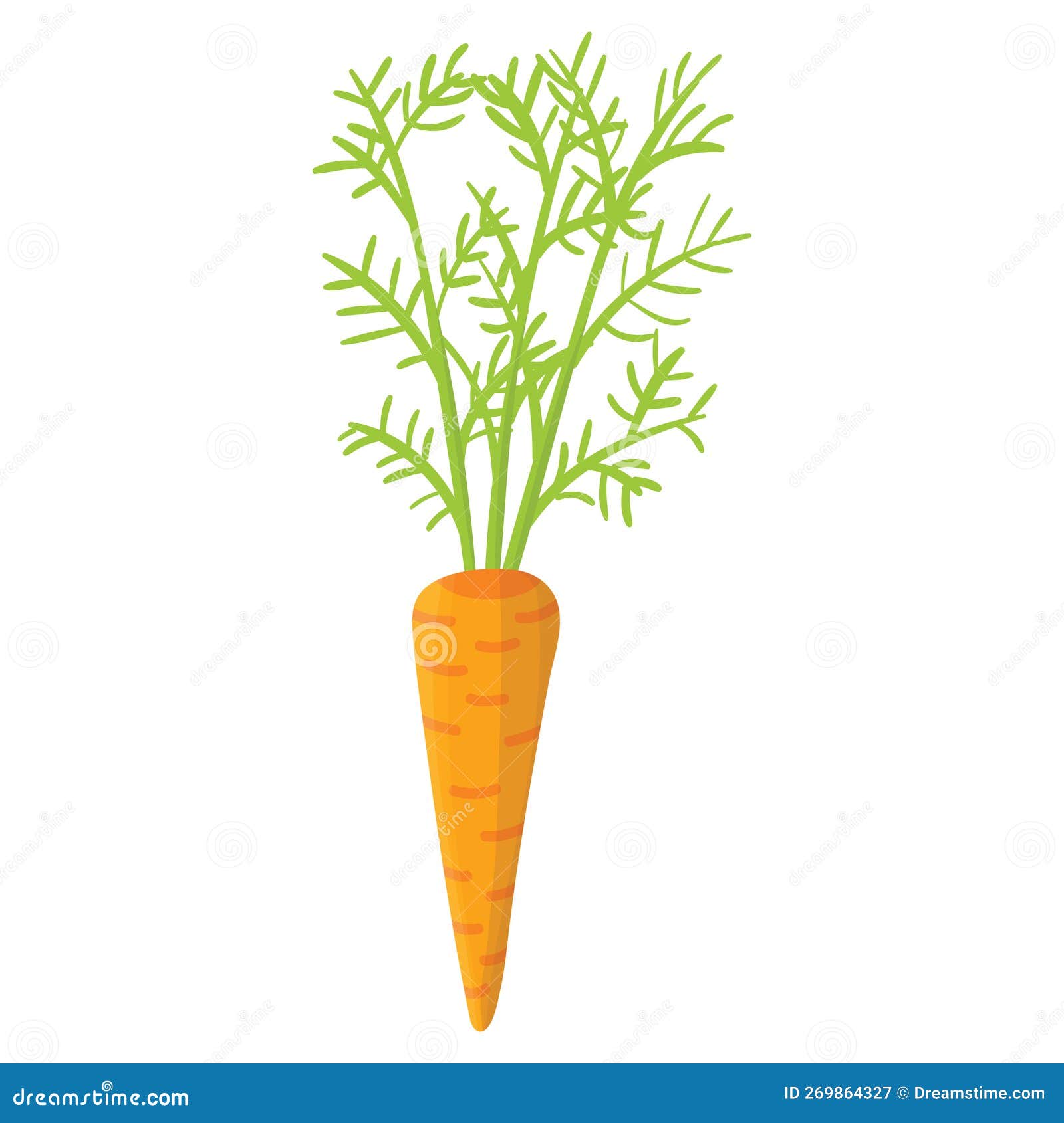 Cute Cartoon Carrot in Flat Style Isolated on White Stock Vector ...