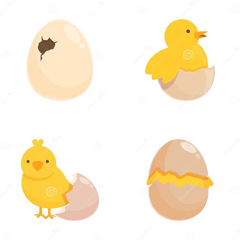 Cute Cartoon Chick Hatching Sequence Stock Vector - Illustration of ...