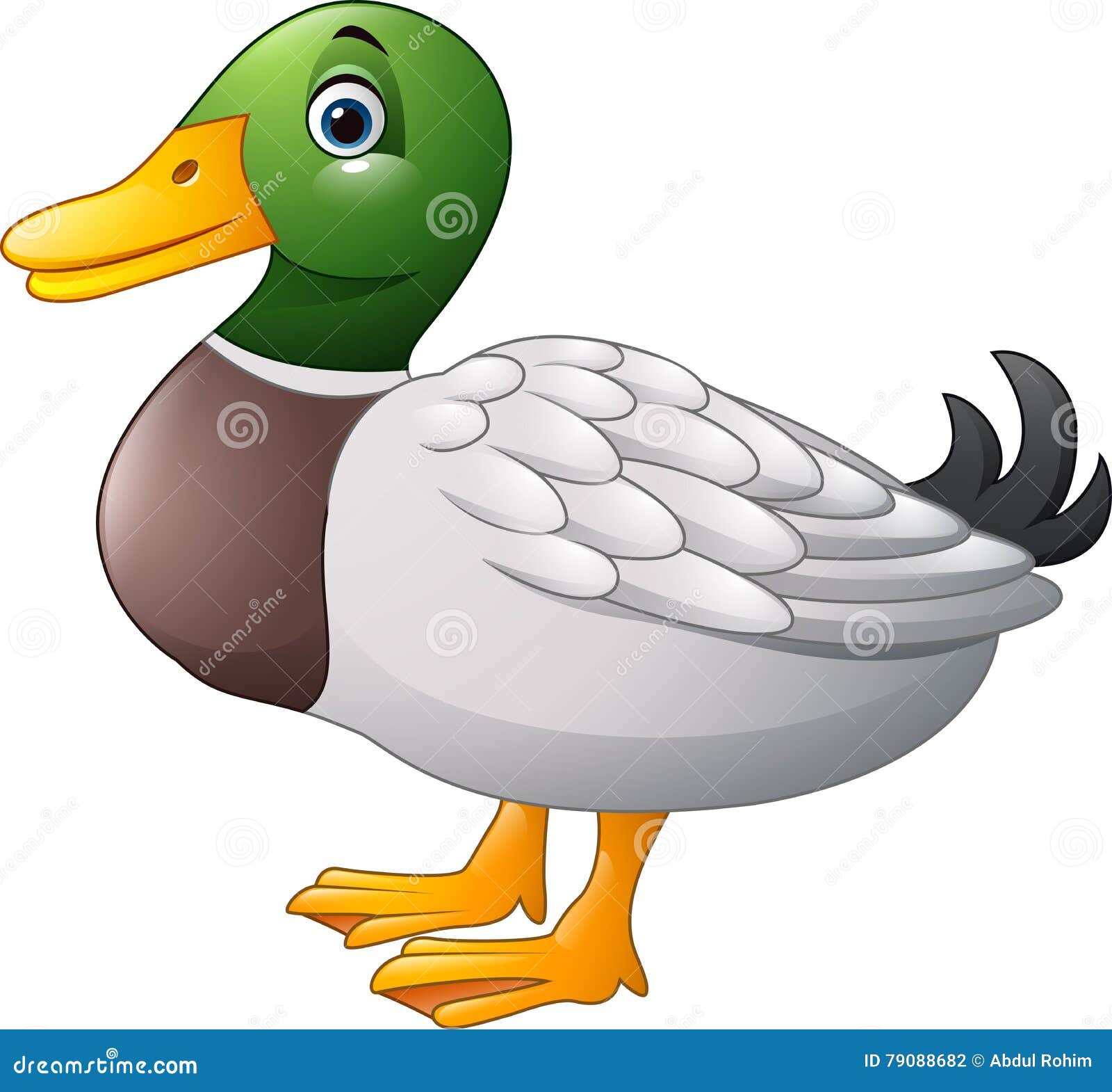 Duck Cartoon