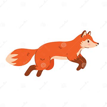 Cute Cartoon Fox Running Isolate on White Background. Vector Graphics ...