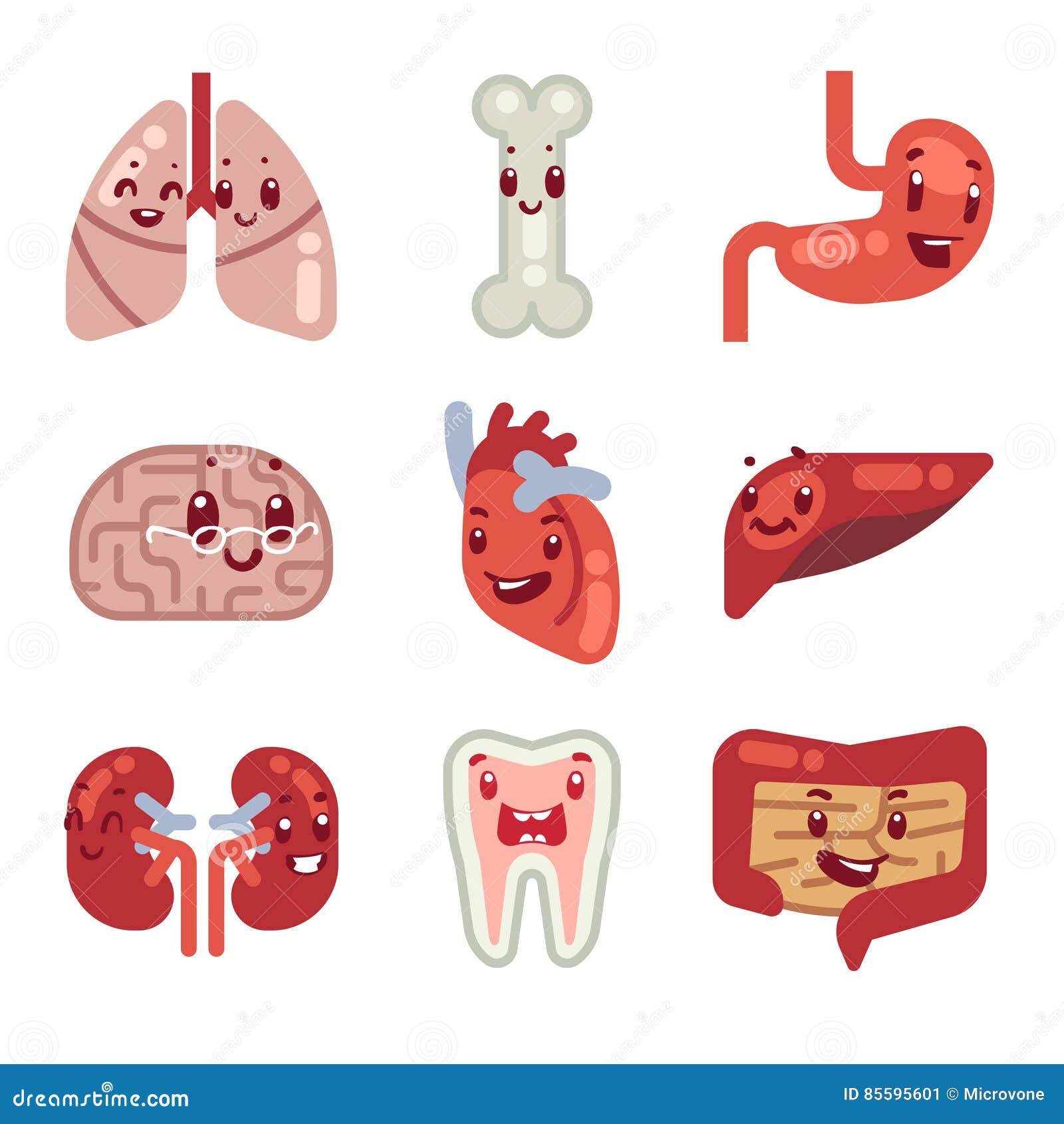 Cute Organs Cartoon Vector | CartoonDealer.com #59780219 Cute Organs Cartoon Vector | CartoonDealer.com #59780219