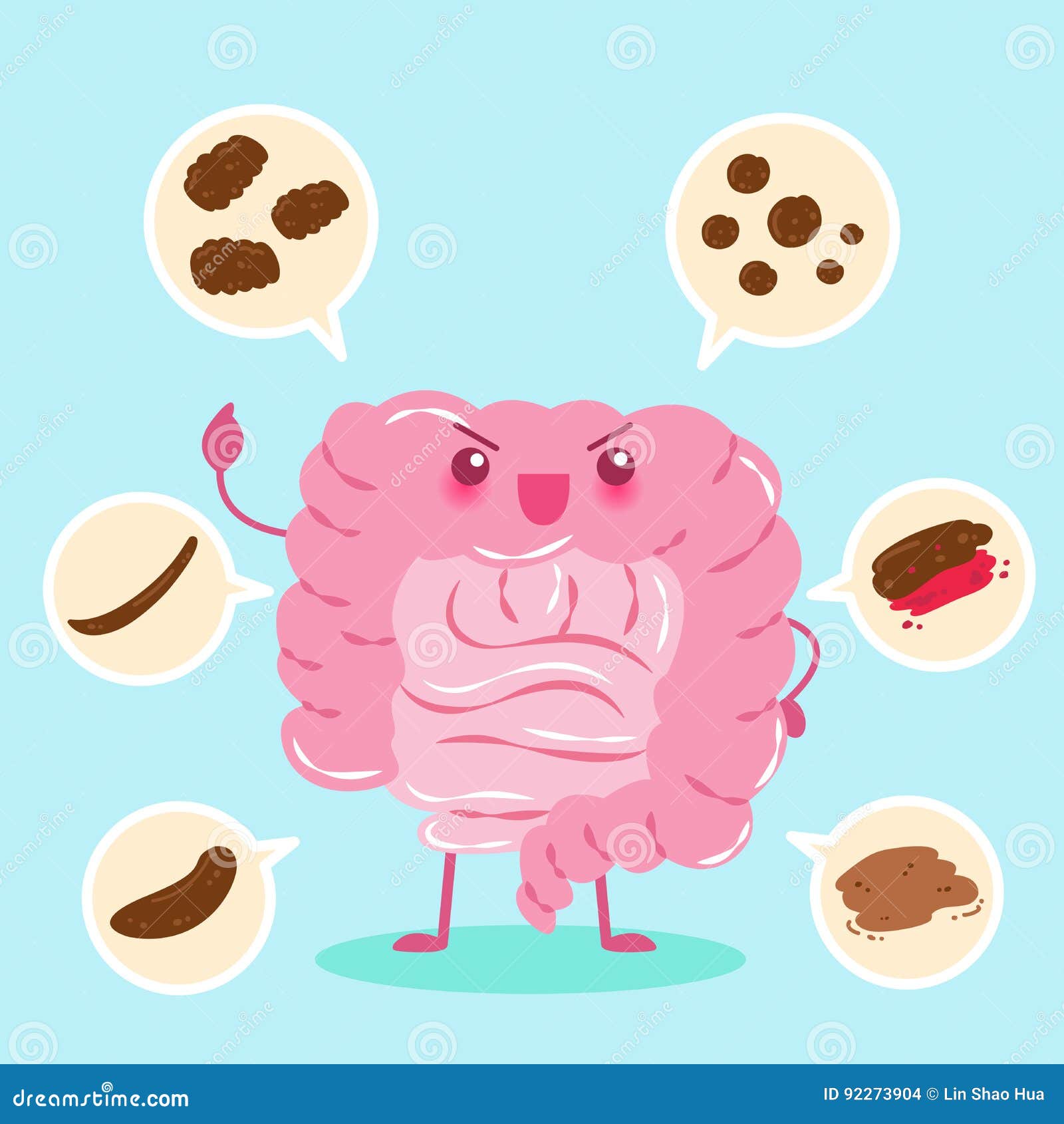 Stool Faeces Type Classification, Structure Excrement. Types ...