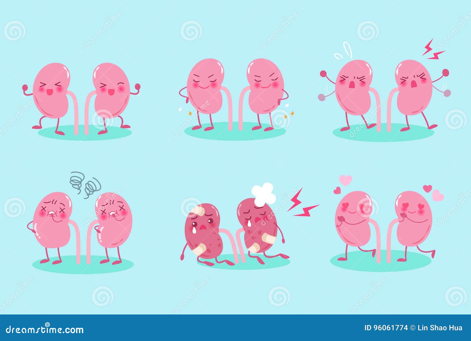 Cartoon Kidney With Nephrons Stock Photo | CartoonDealer.com #276566658