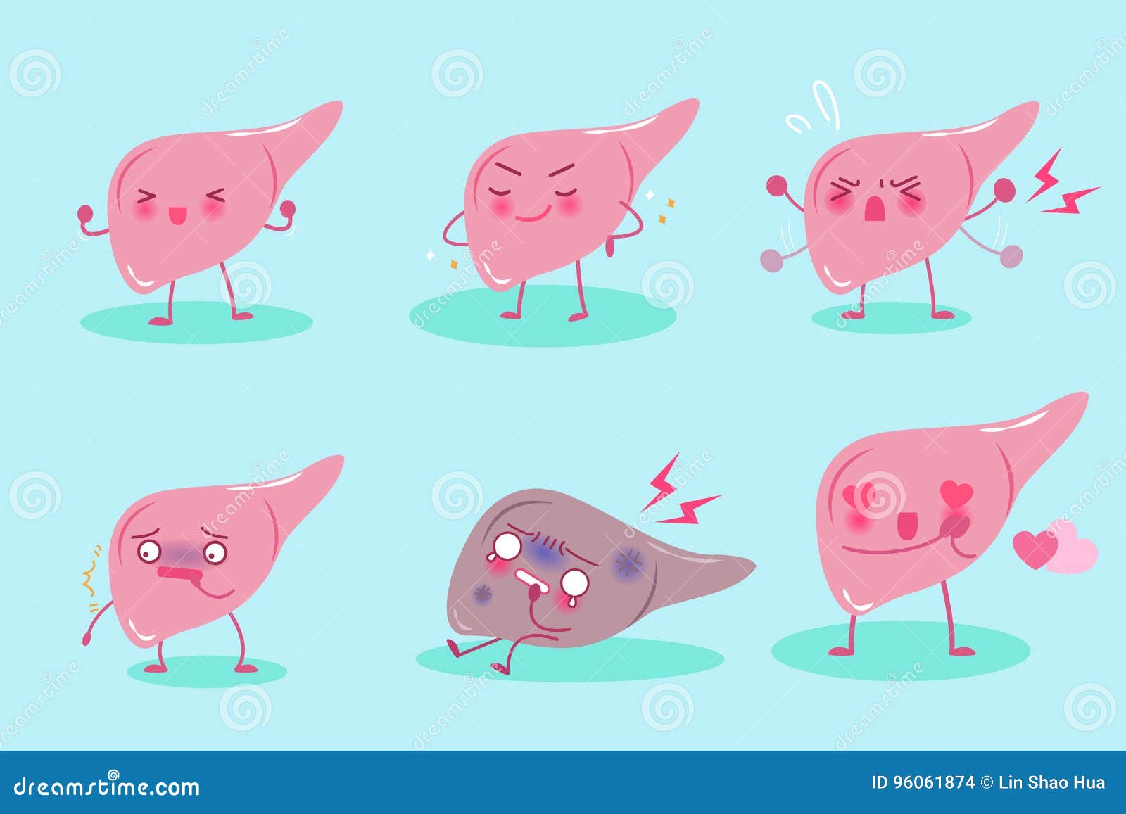 Cute cartoon liver stock vector. Illustration of caricature - 96061874
